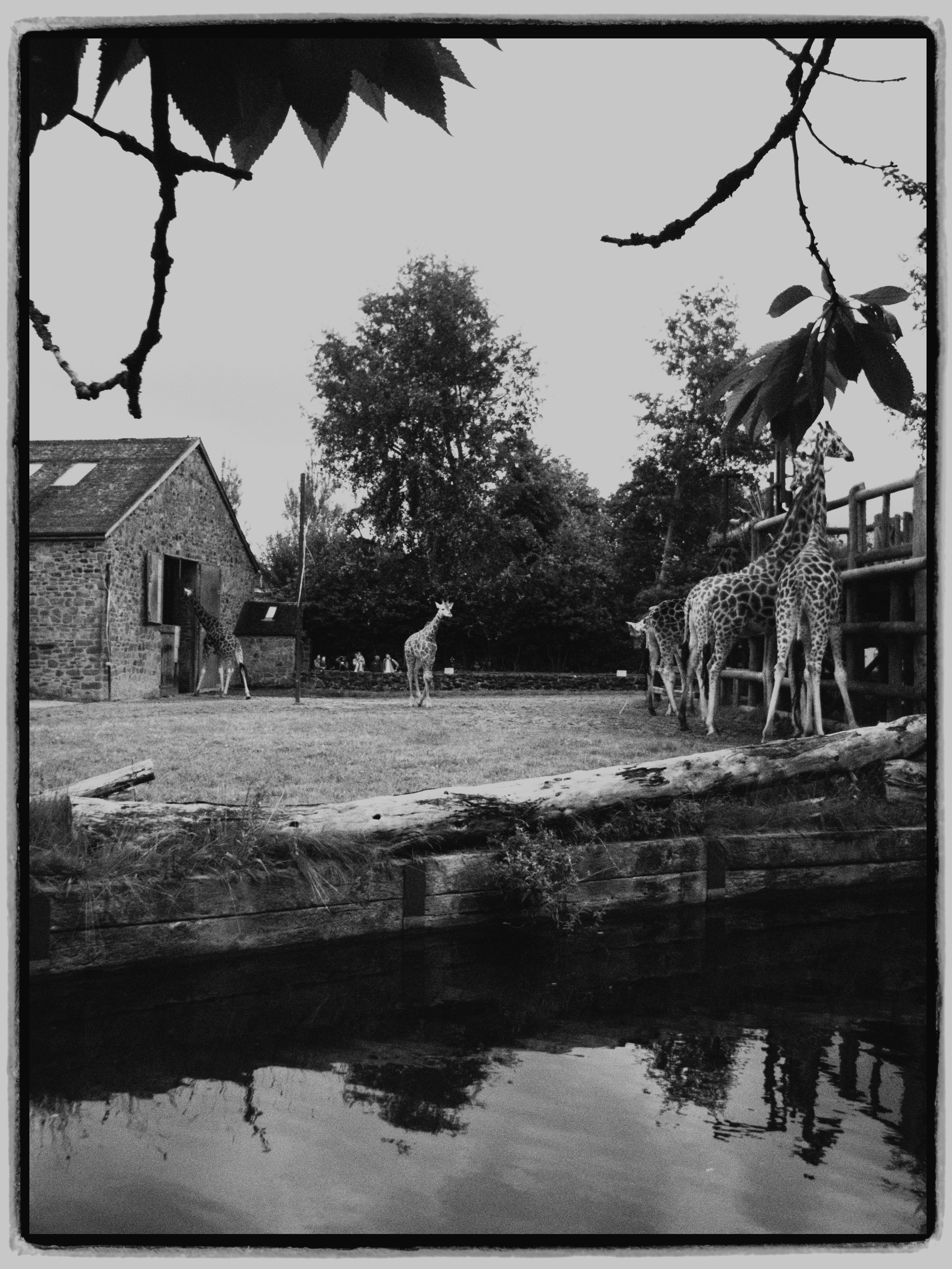 Grace Moat Photos, Download The BEST Free Grace Moat Stock Photos & HD ...