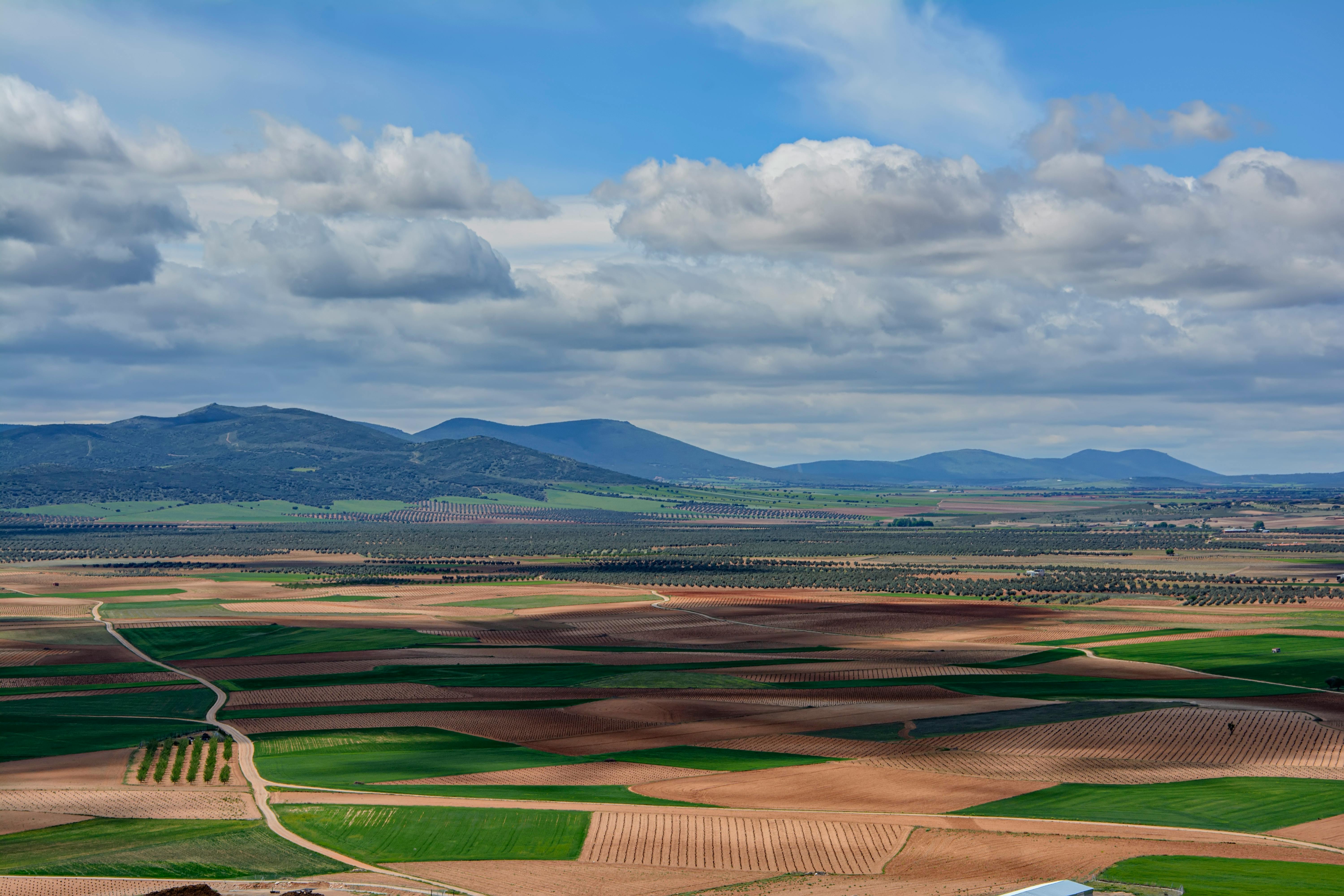 Rural Fields on Plains · Free Stock Photo
