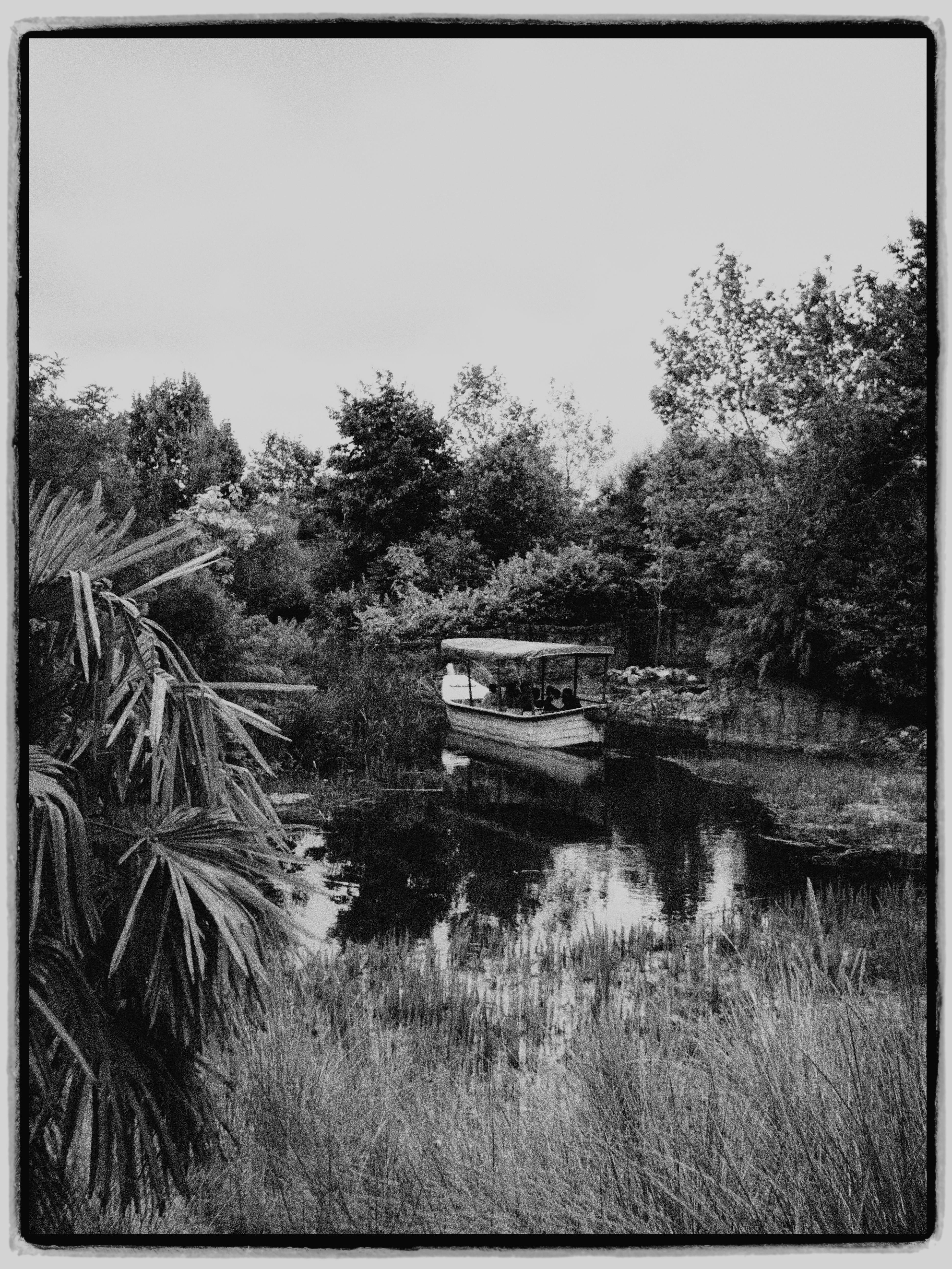 Wonderwall Oasis Photos, Download The BEST Free Wonderwall Oasis Stock ...