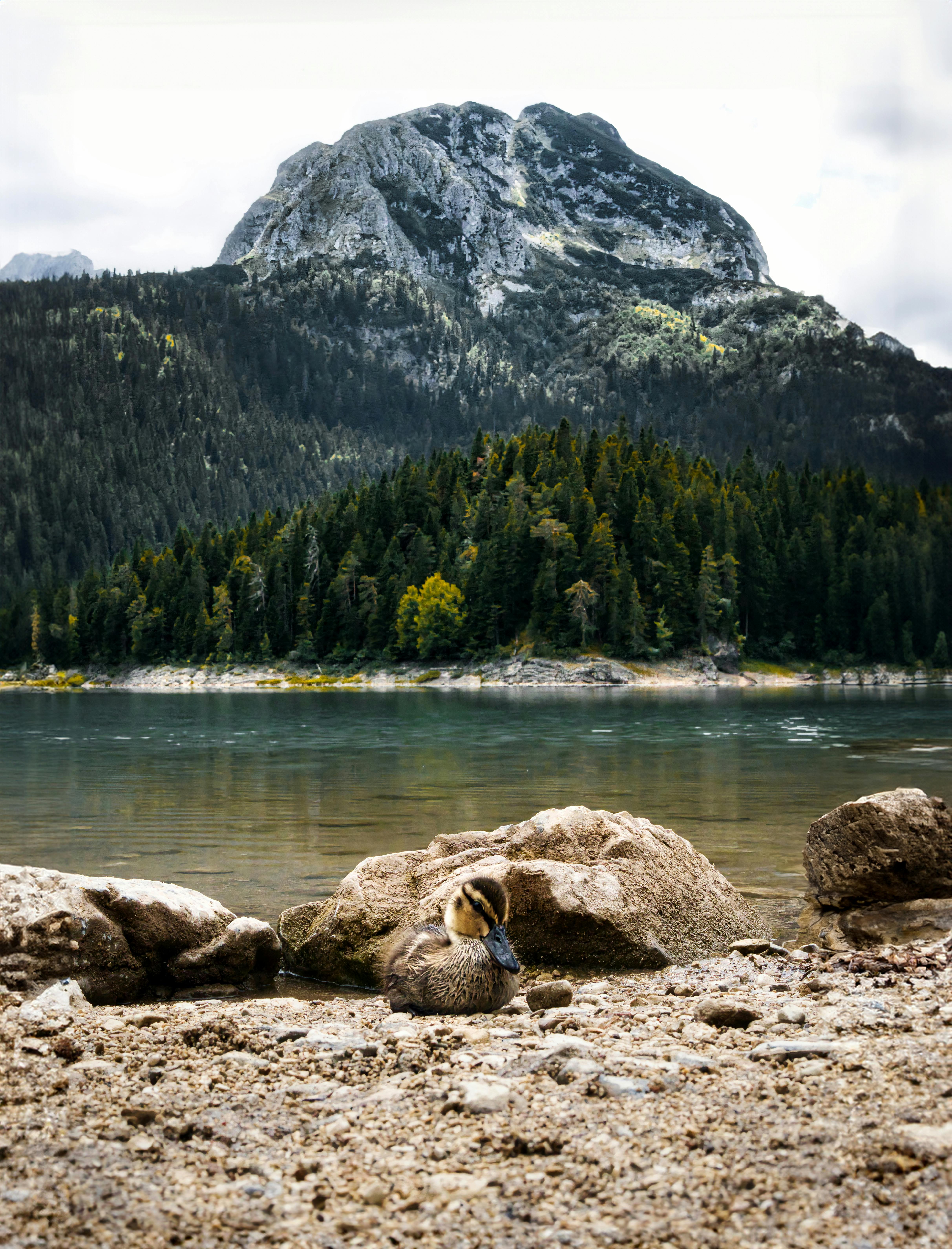 Ruben Boekeloo - 摄影