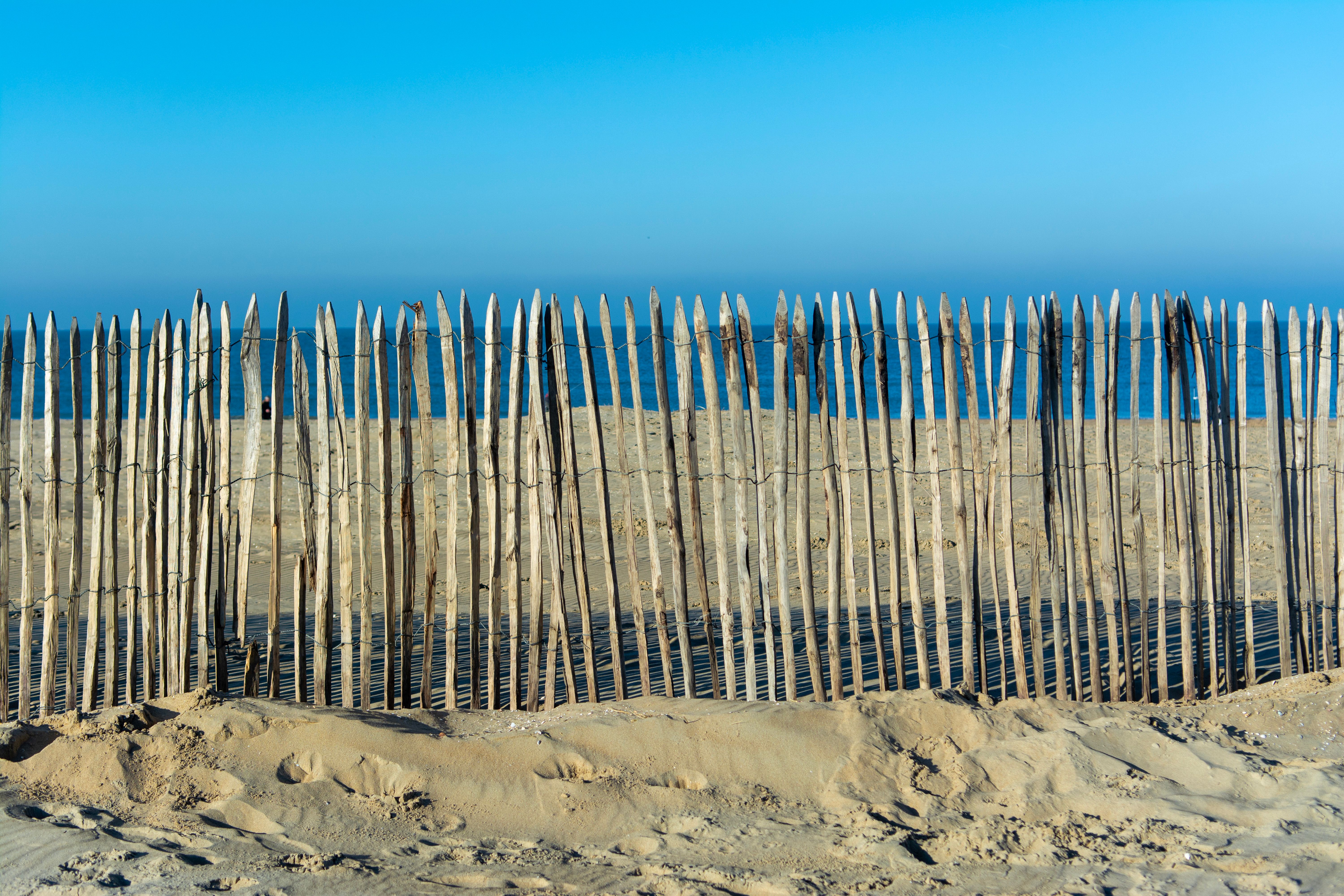 Fence Along the Beach · Free Stock Photo