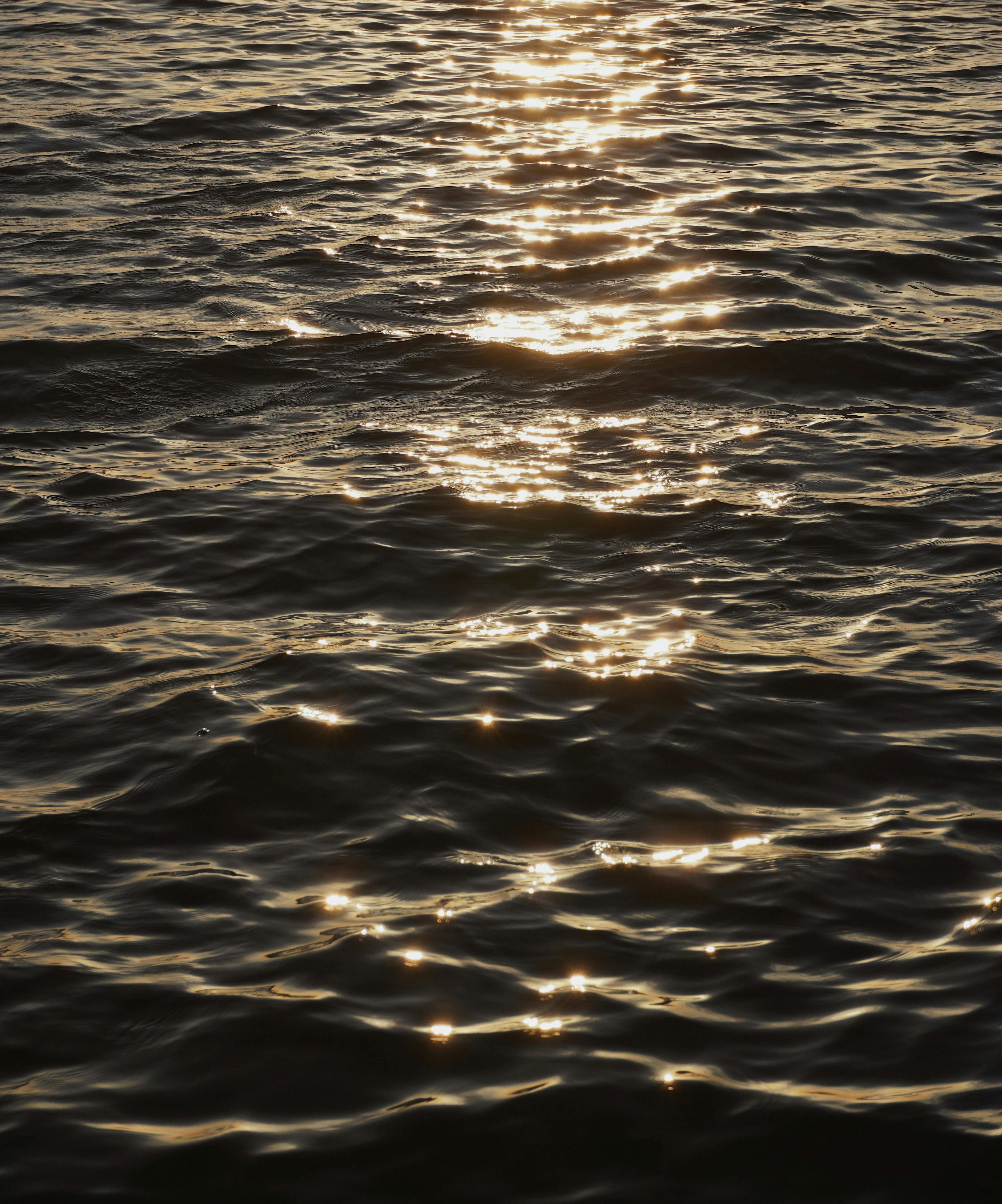 Undulating Ocean Surface at Sunset · Free Stock Photo