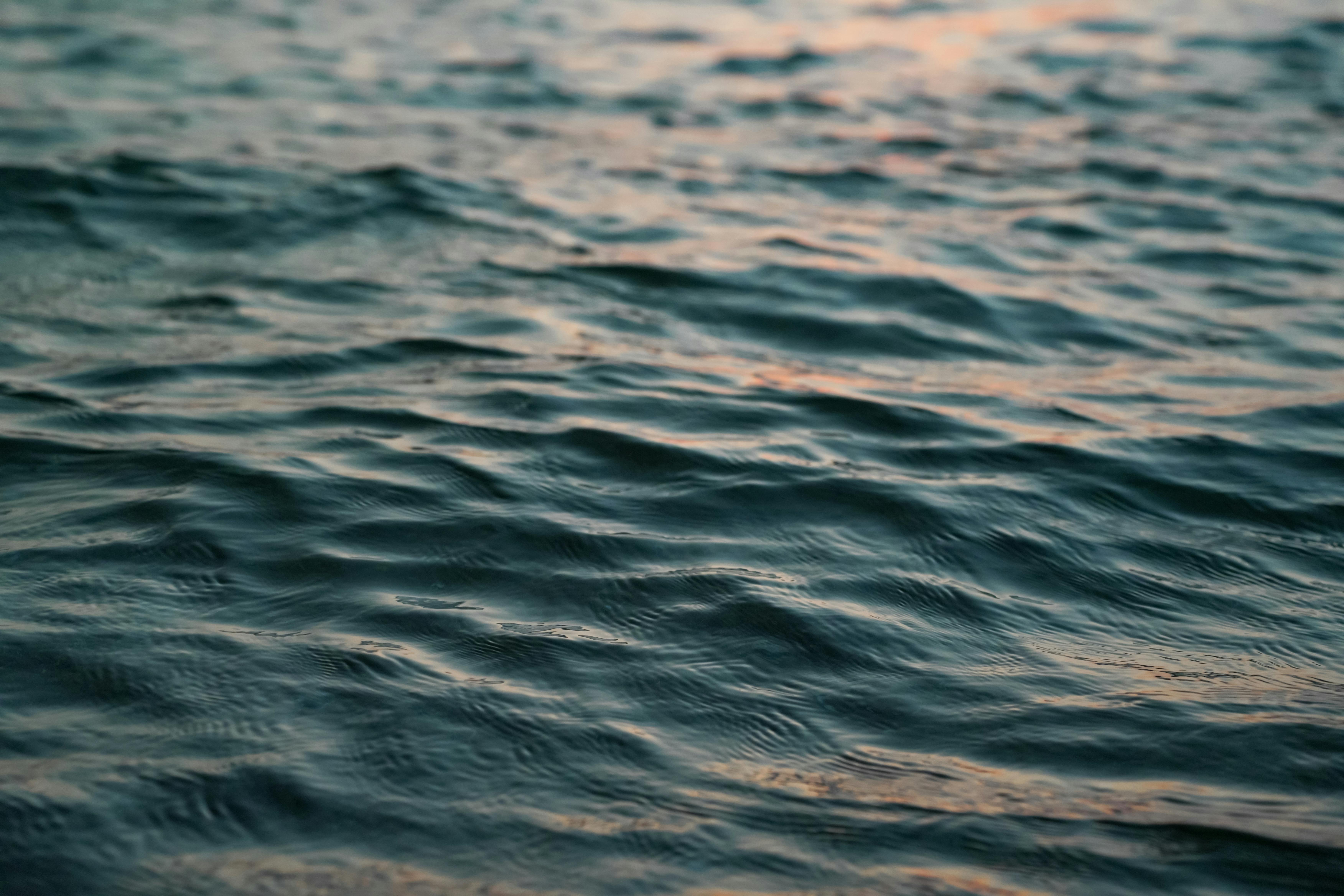 Wavy Sea Water · Free Stock Photo