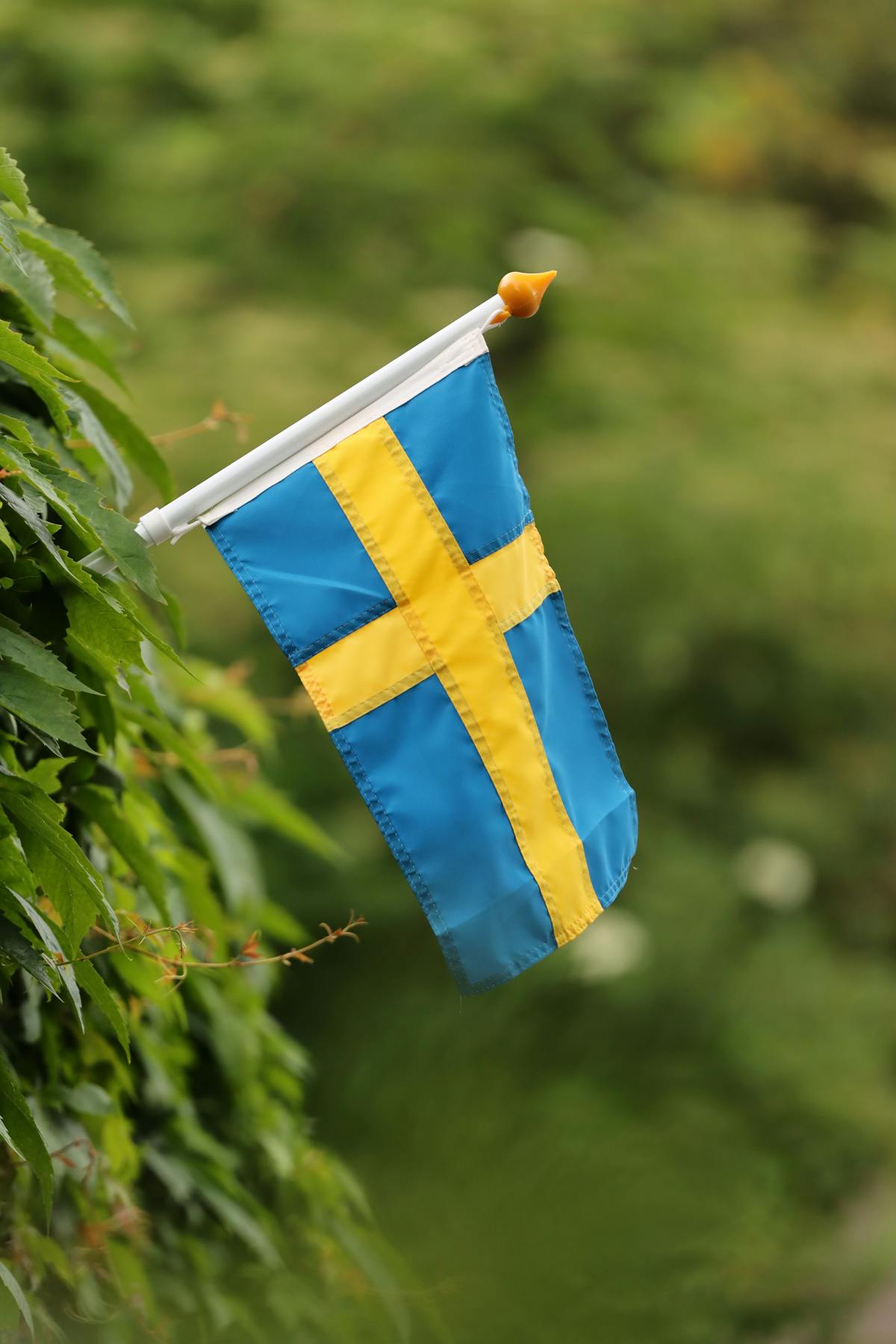 Sweden Flag Photos, Download The BEST Free Sweden Flag Stock Photos ...