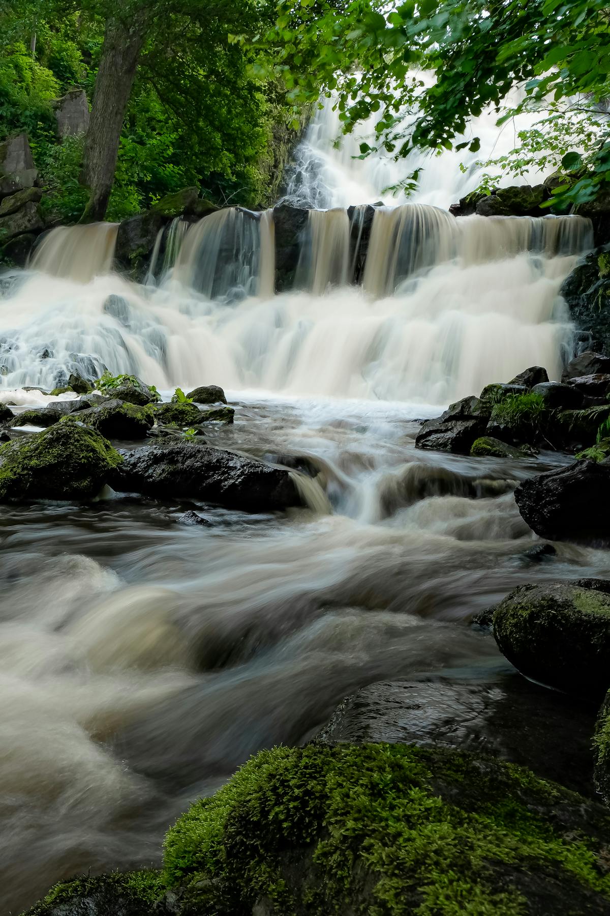 Israel River Photos, Download The BEST Free Israel River Stock Photos ...