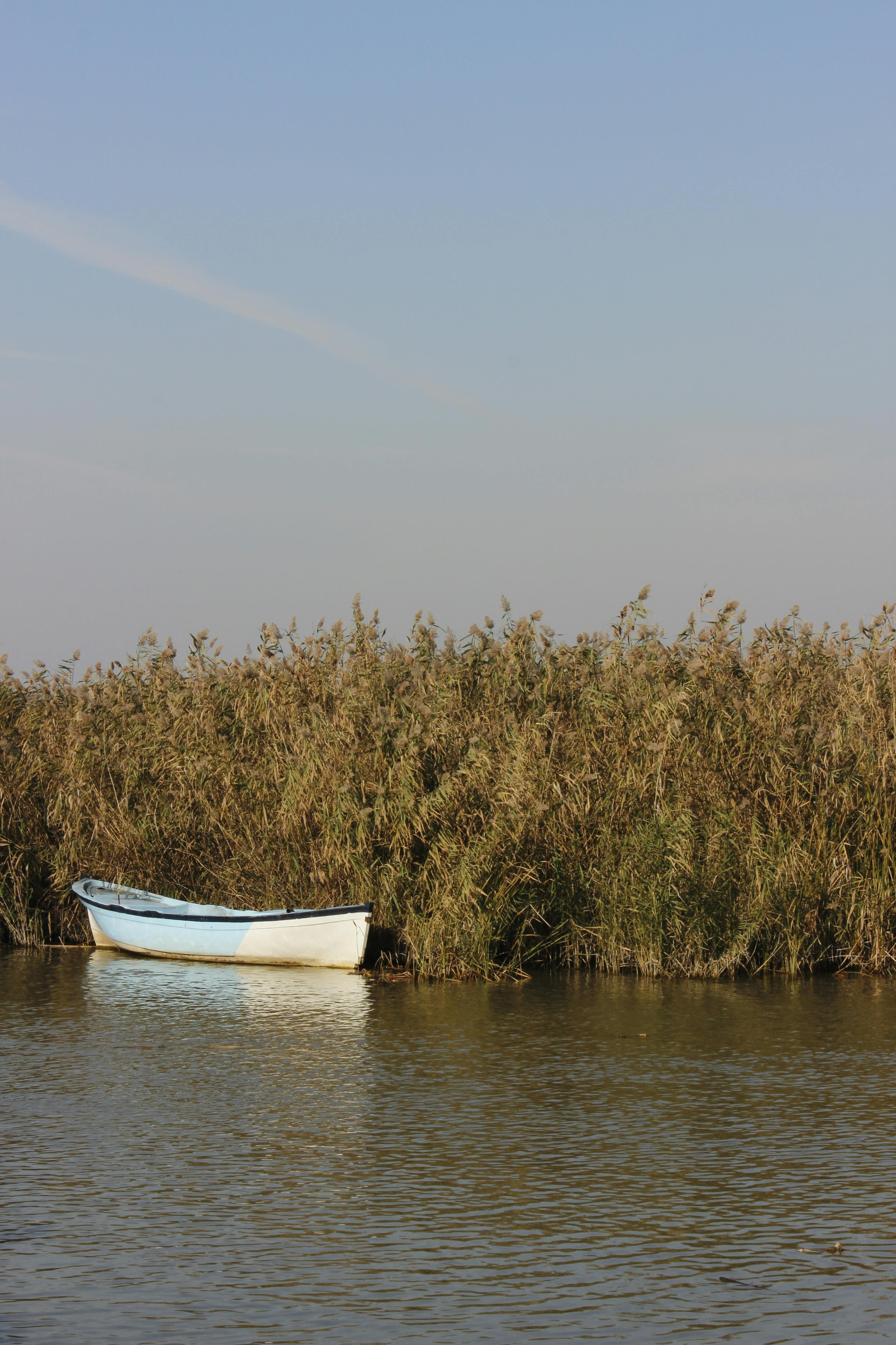 Ücretsiz açık hava, aesthetic, asya, background, background image ...