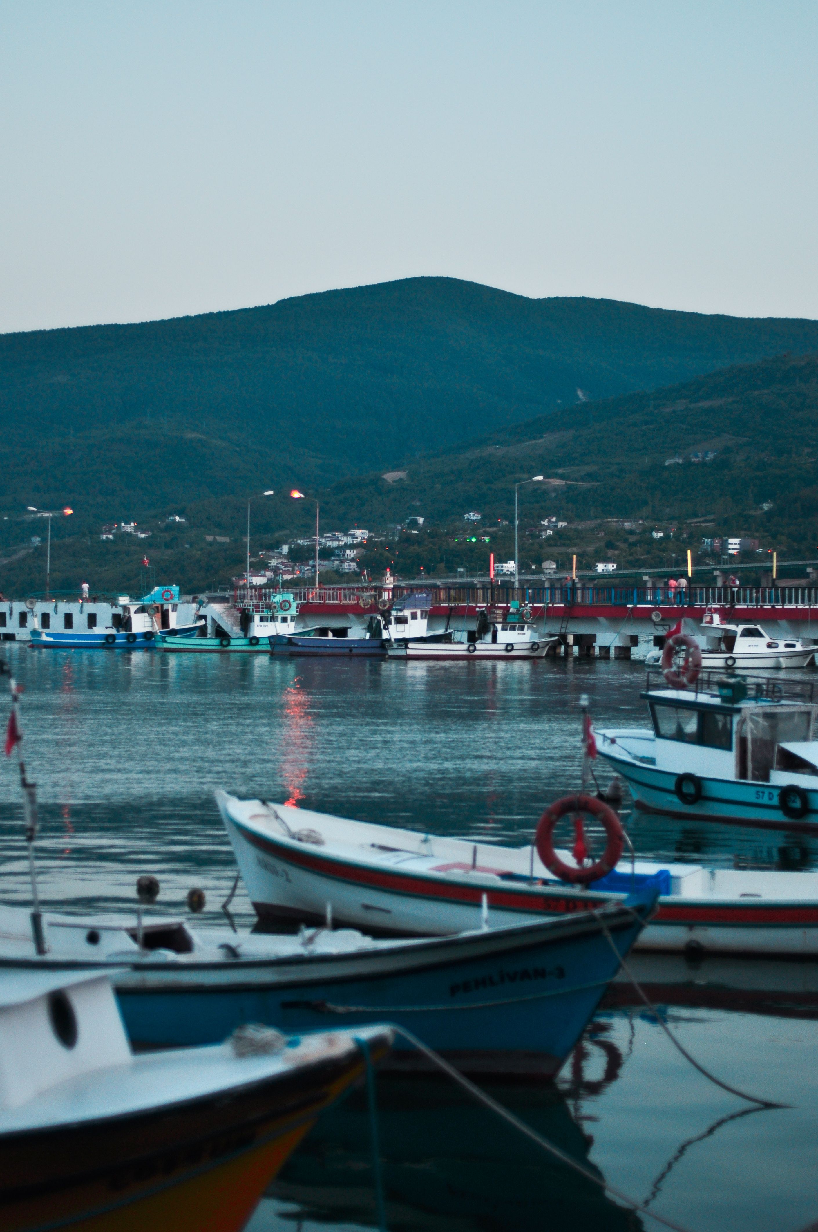 Boats in a Harbor · Free Stock Photo