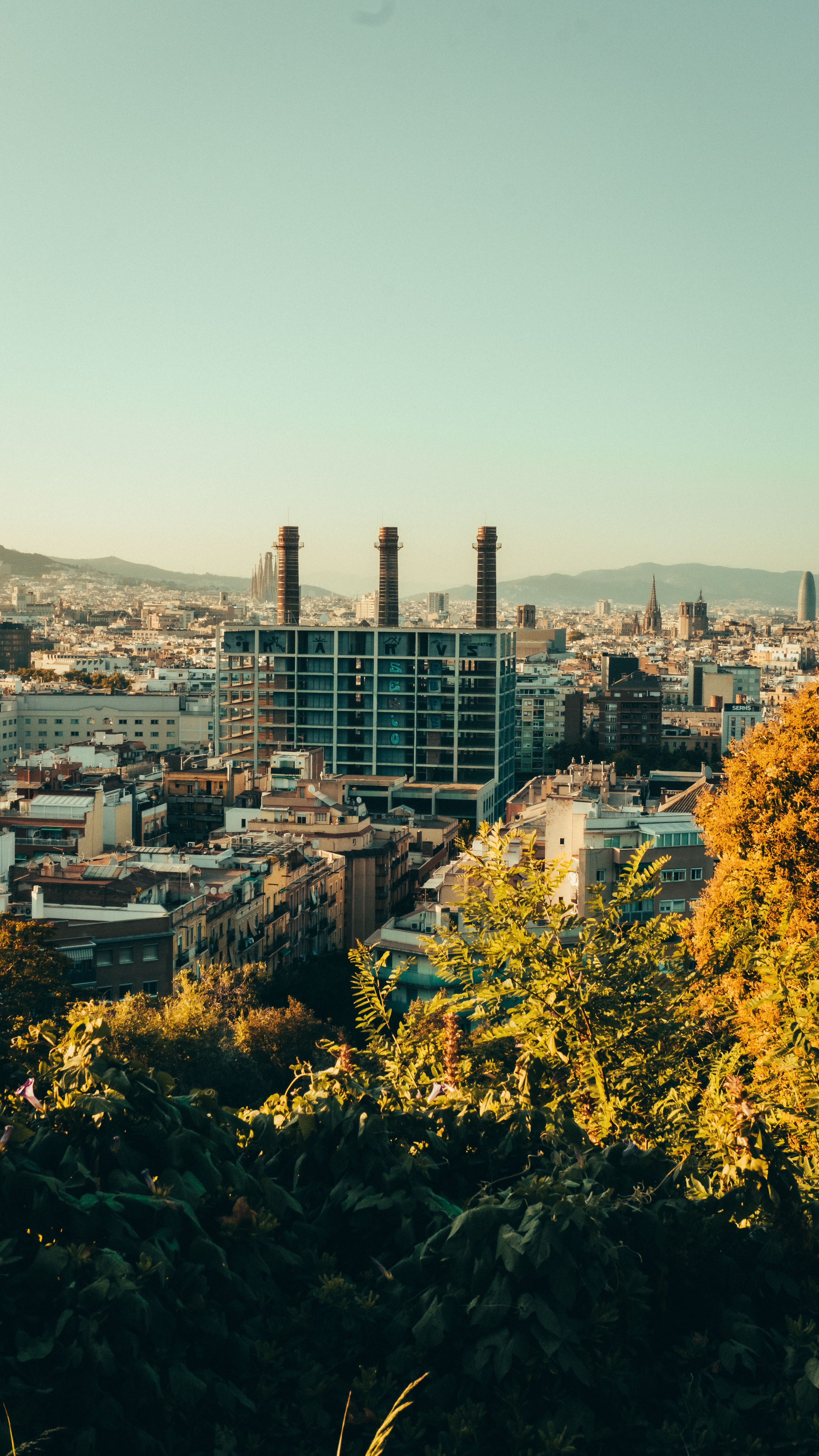 Chimneys over Buildings in City · Free Stock Photo