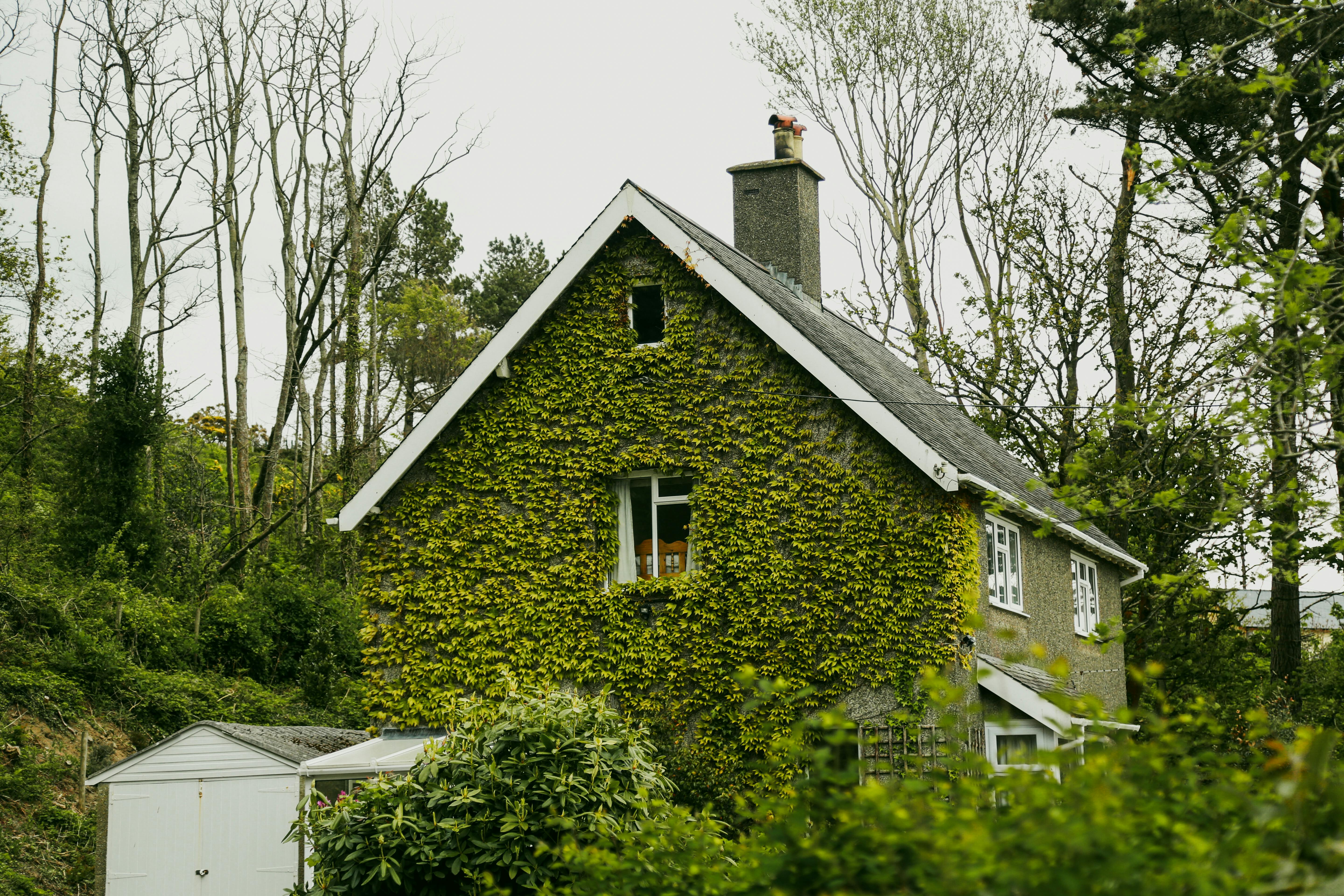 Secluded House · Free Stock Photo