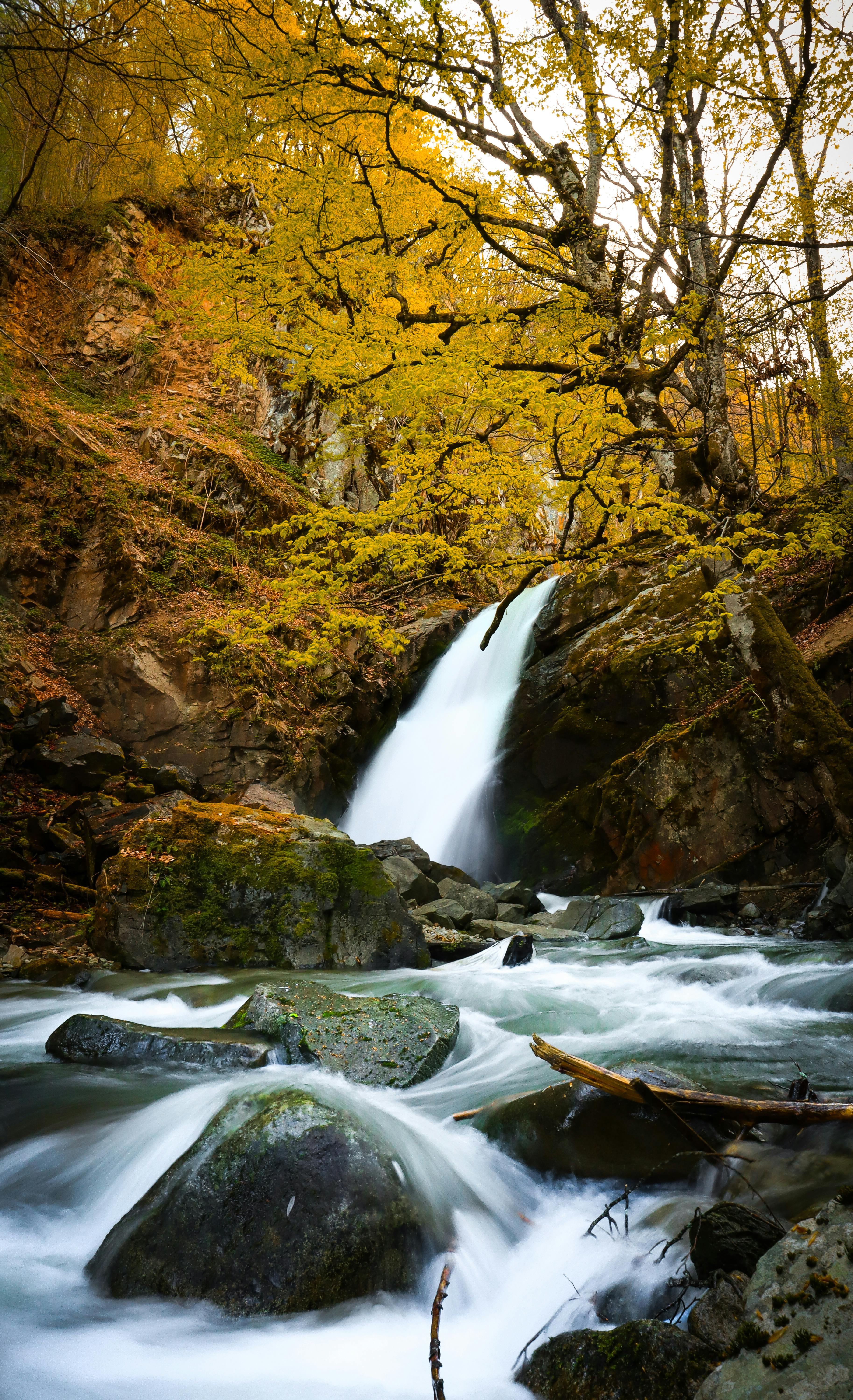 Long Exposure Photo of Stream Falling in Between Rocky Mountain · Free ...