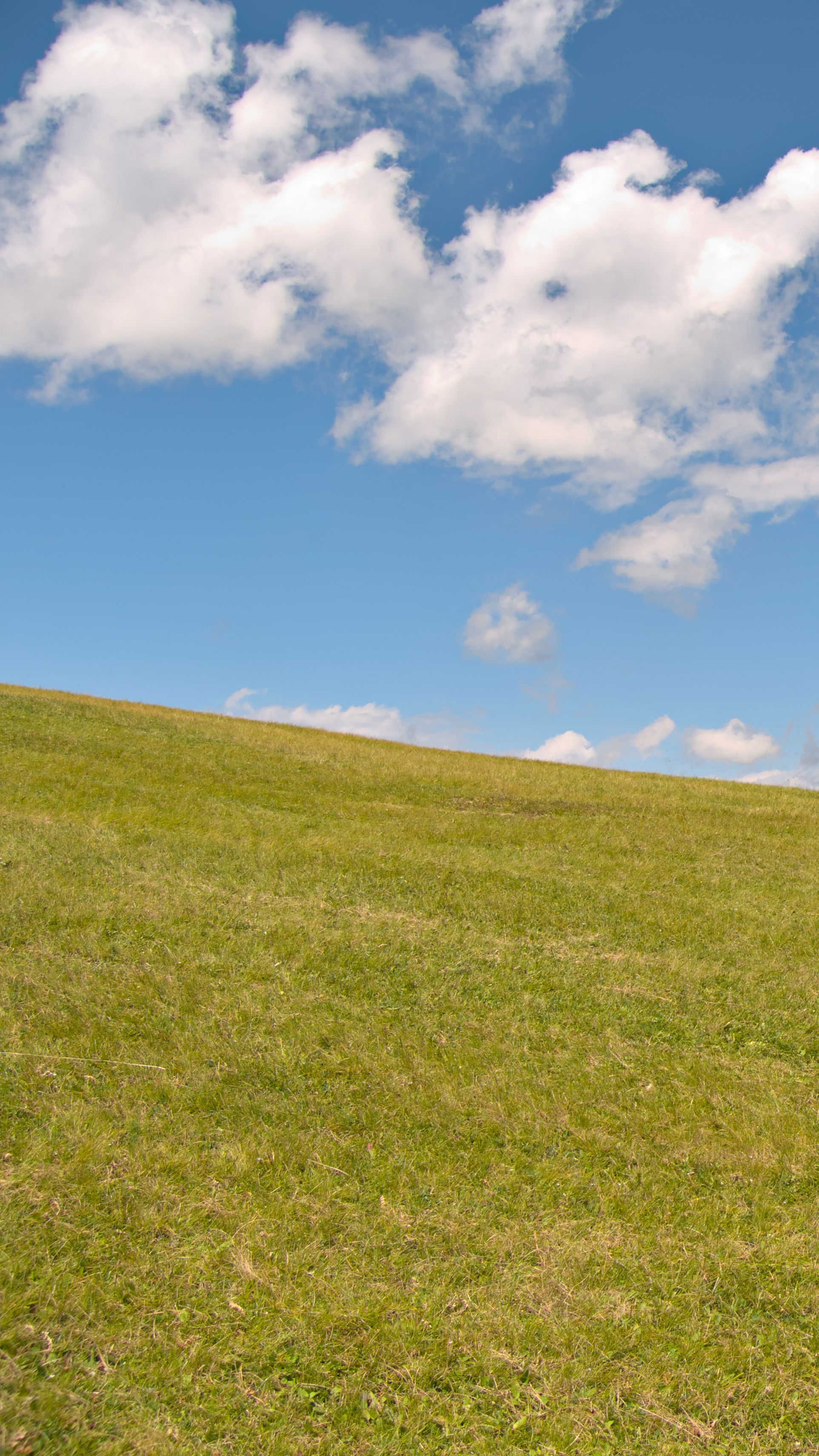 Wolk Vorm Photos, Download The BEST Free Wolk Vorm Stock Photos & HD Images