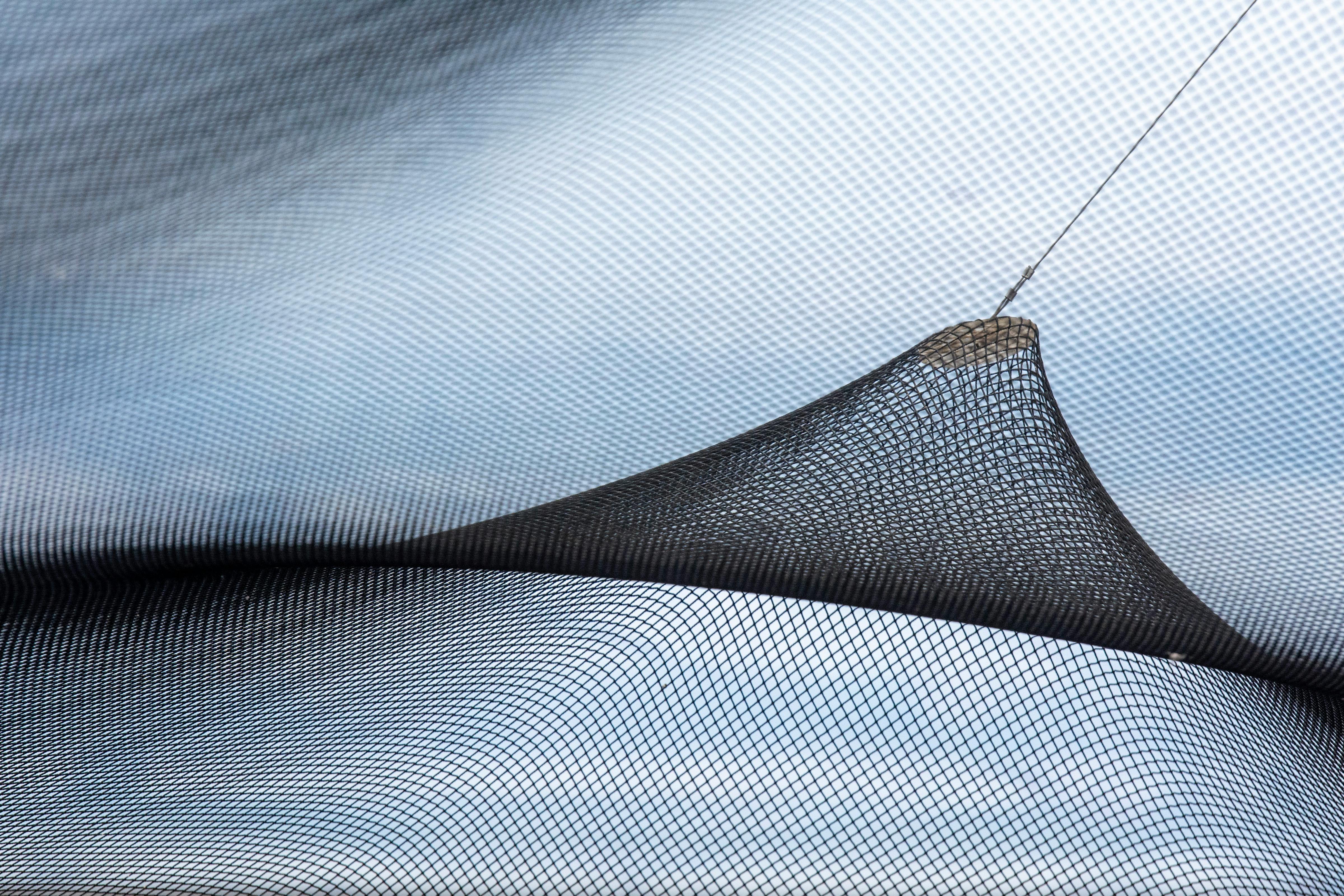 A close up of a net with a bird flying through it · Free Stock Photo