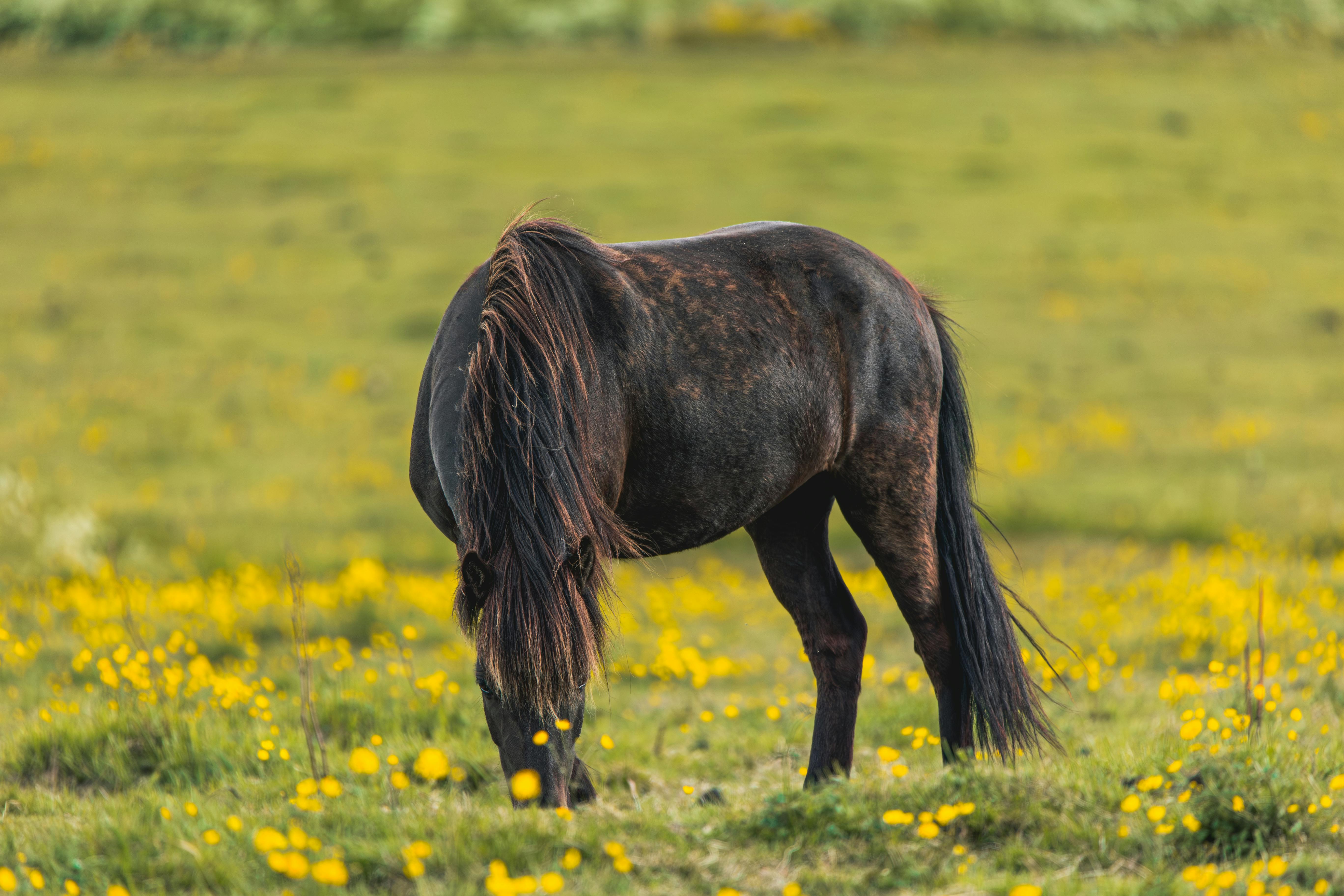 Aliaksei Semirski - 摄影