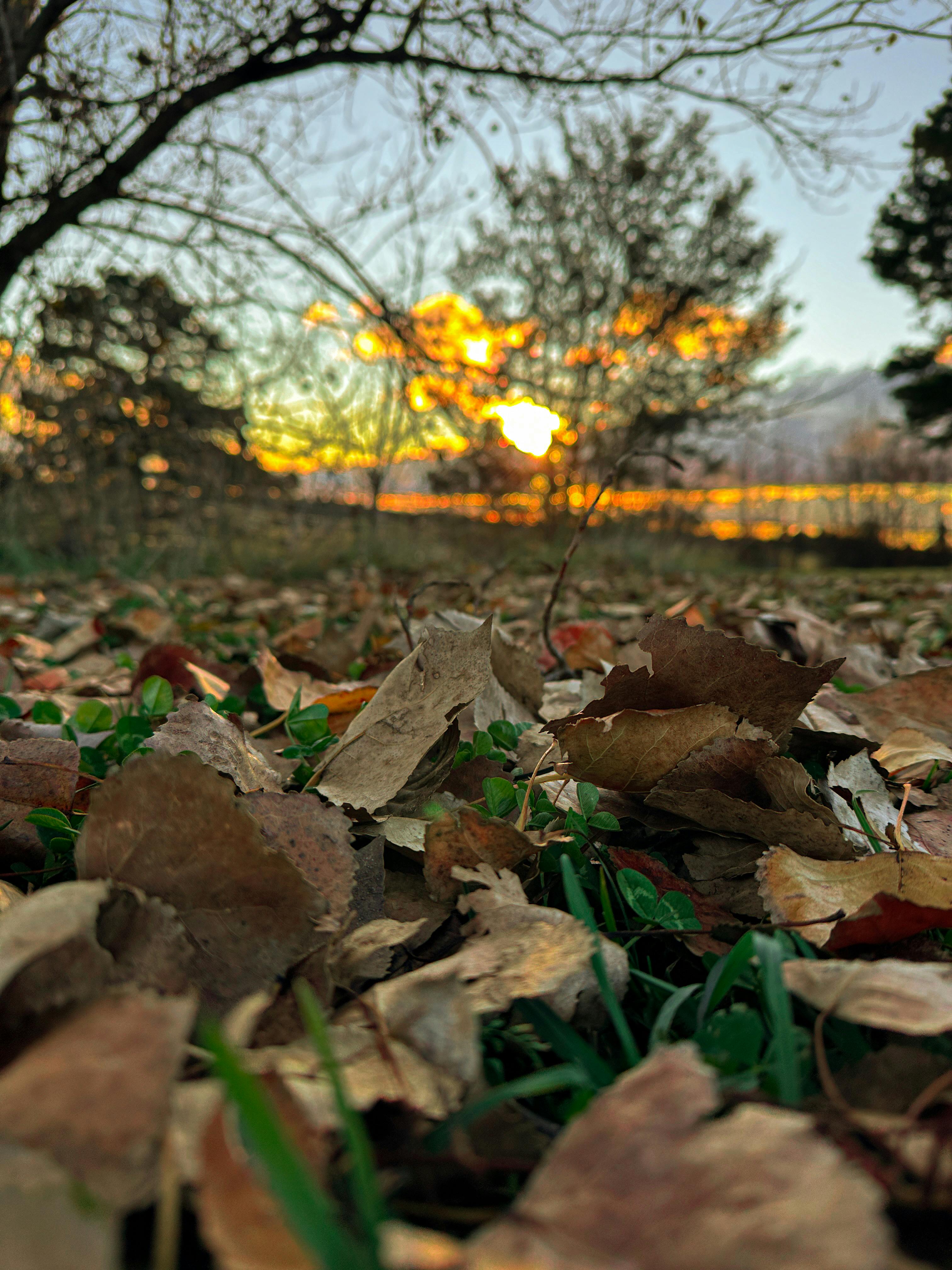 Devin kumaradasa - 攝影