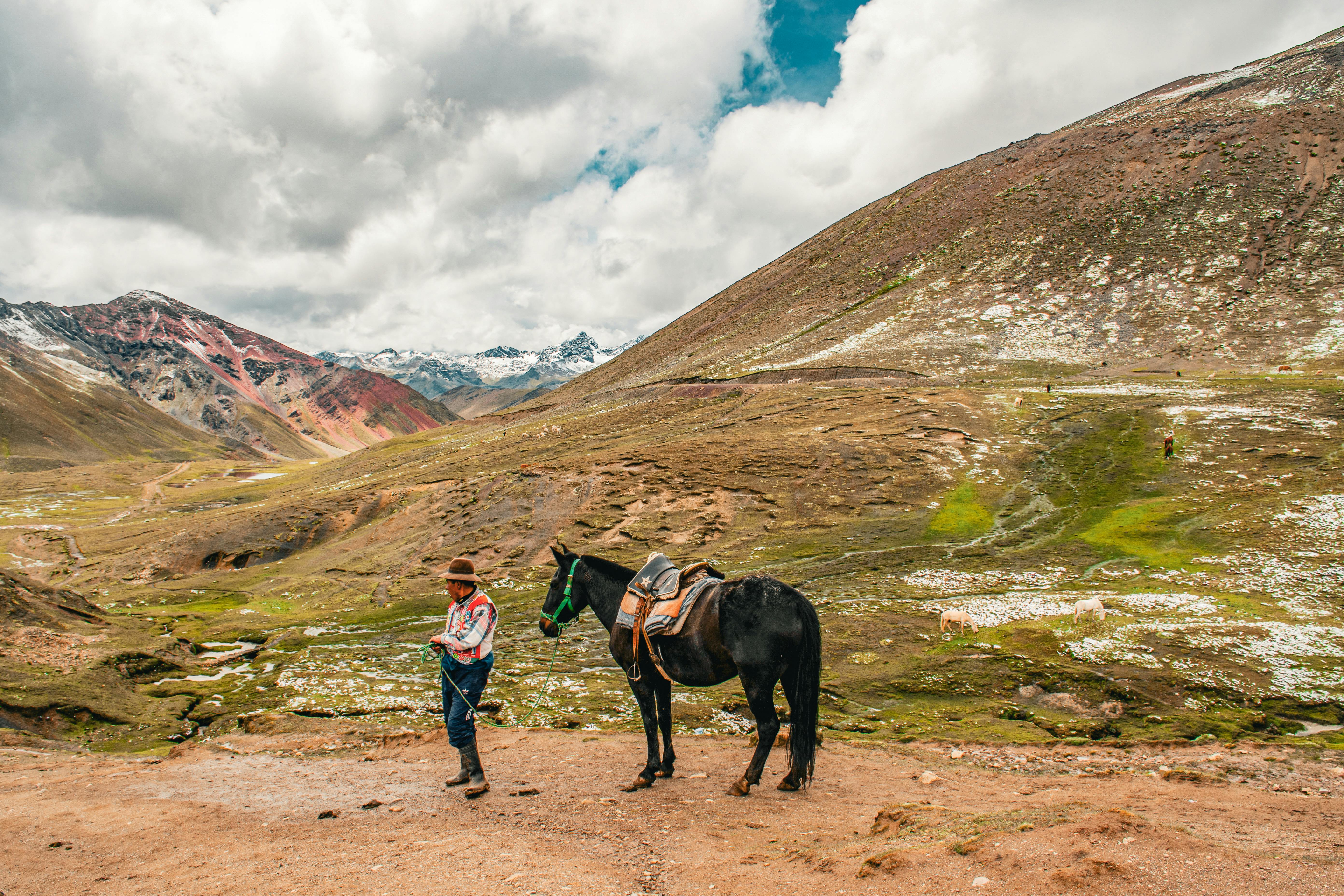 Person Riding Horse · Free Stock Photo