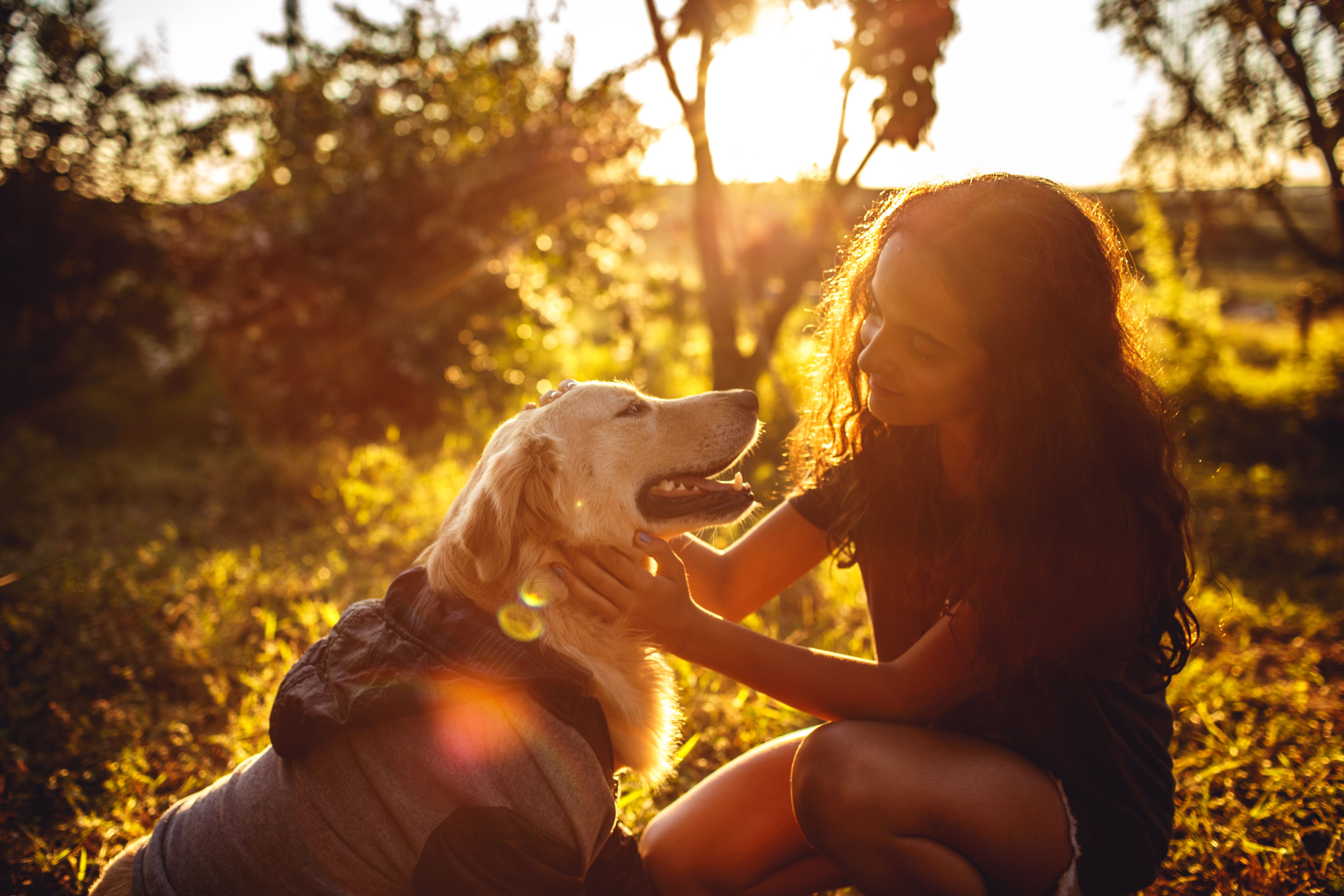 Young woman bonding with golden retriever at sunset · Free Stock Photo