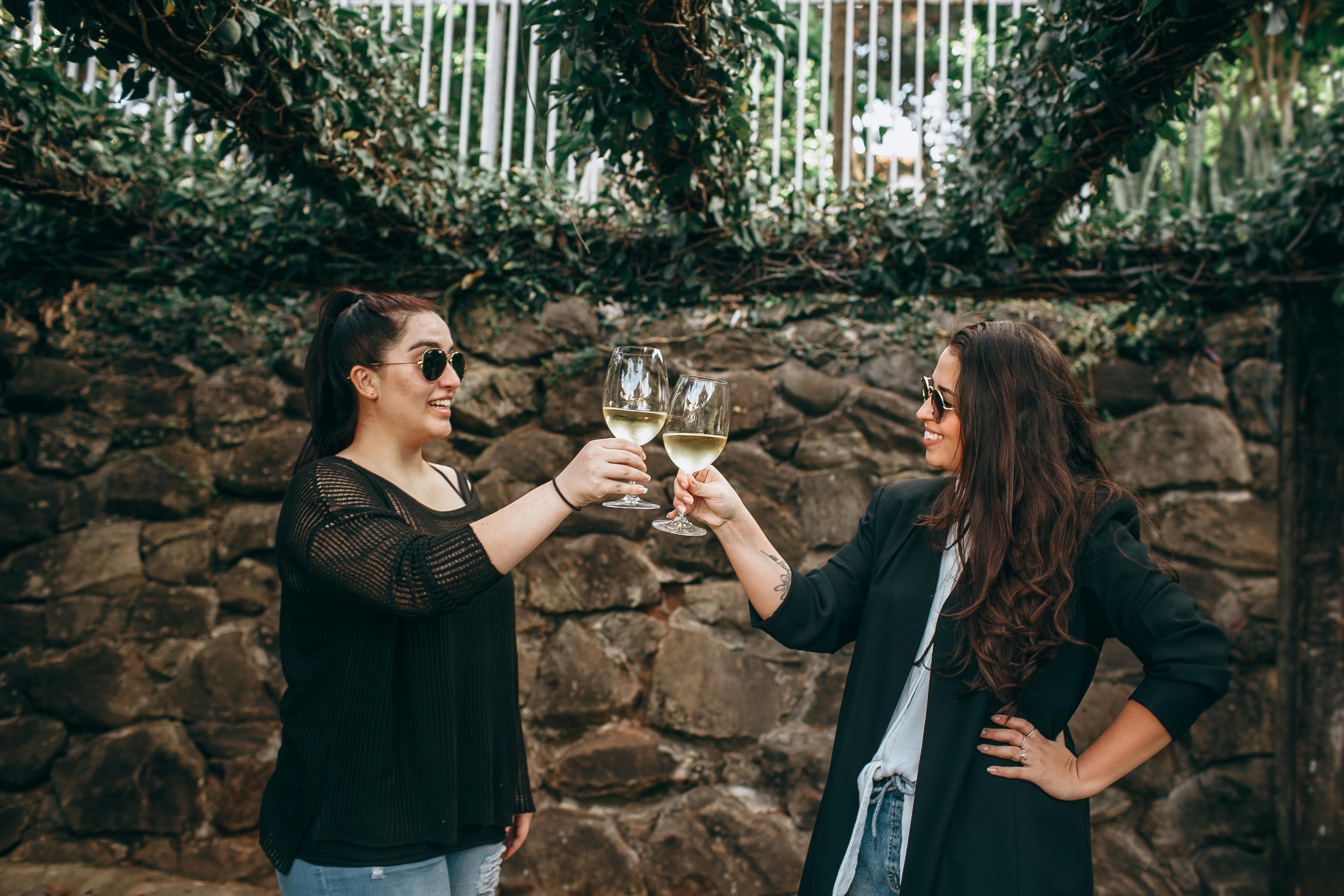 Two women toasting with glasses of wine · Free Stock Photo