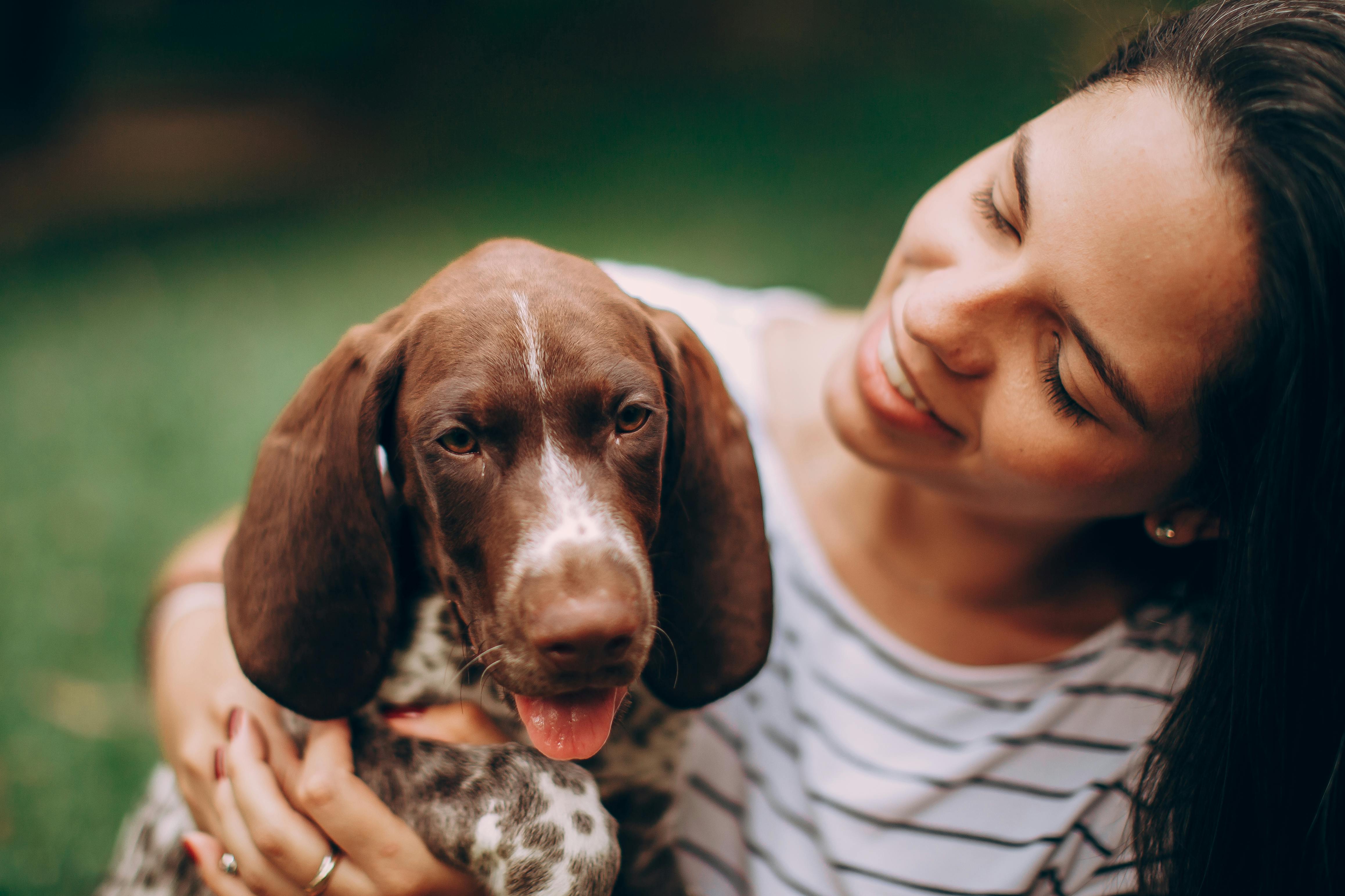 Portrait of a German Shorthaired Pointer with a Female Owner · Free Stock Photo