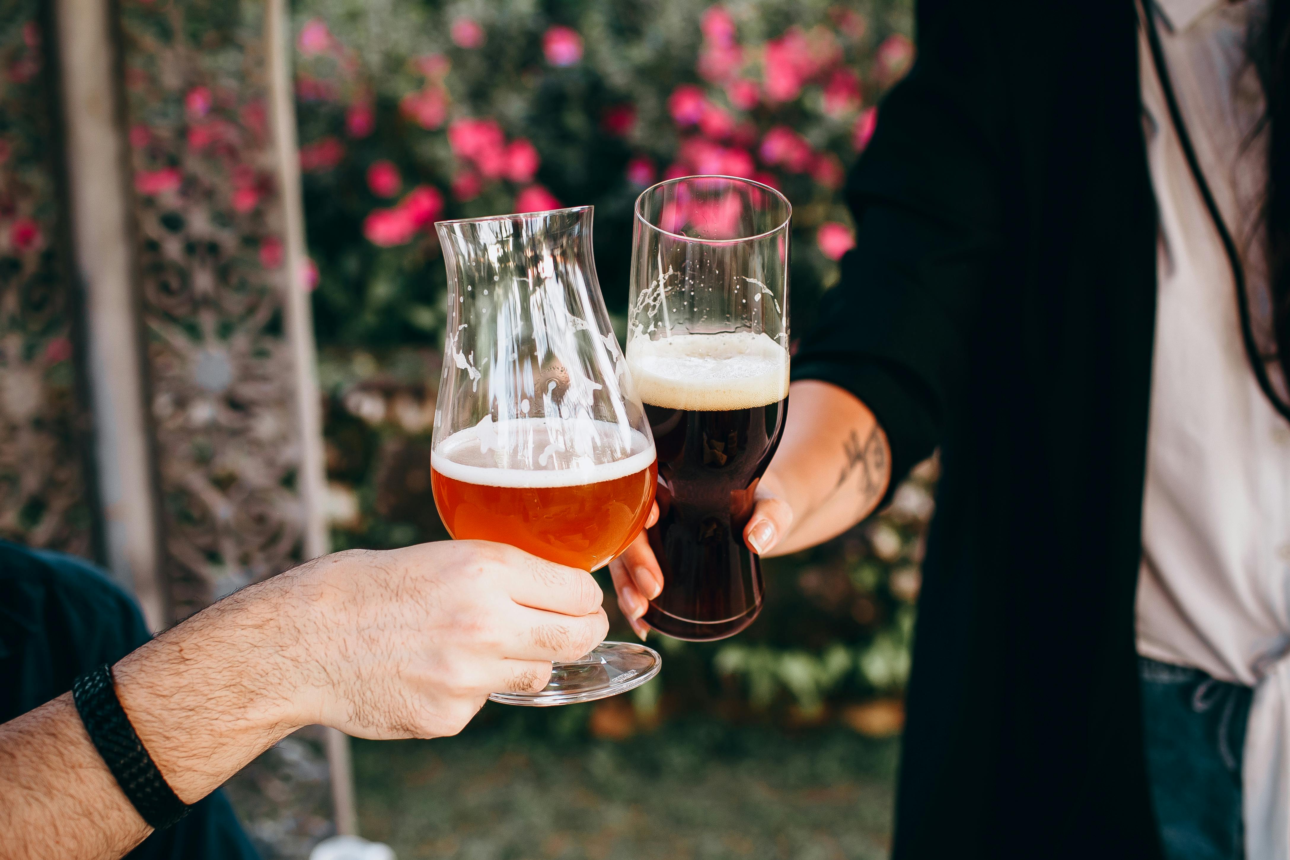 Two people toasting with beer glasses · Free Stock Photo