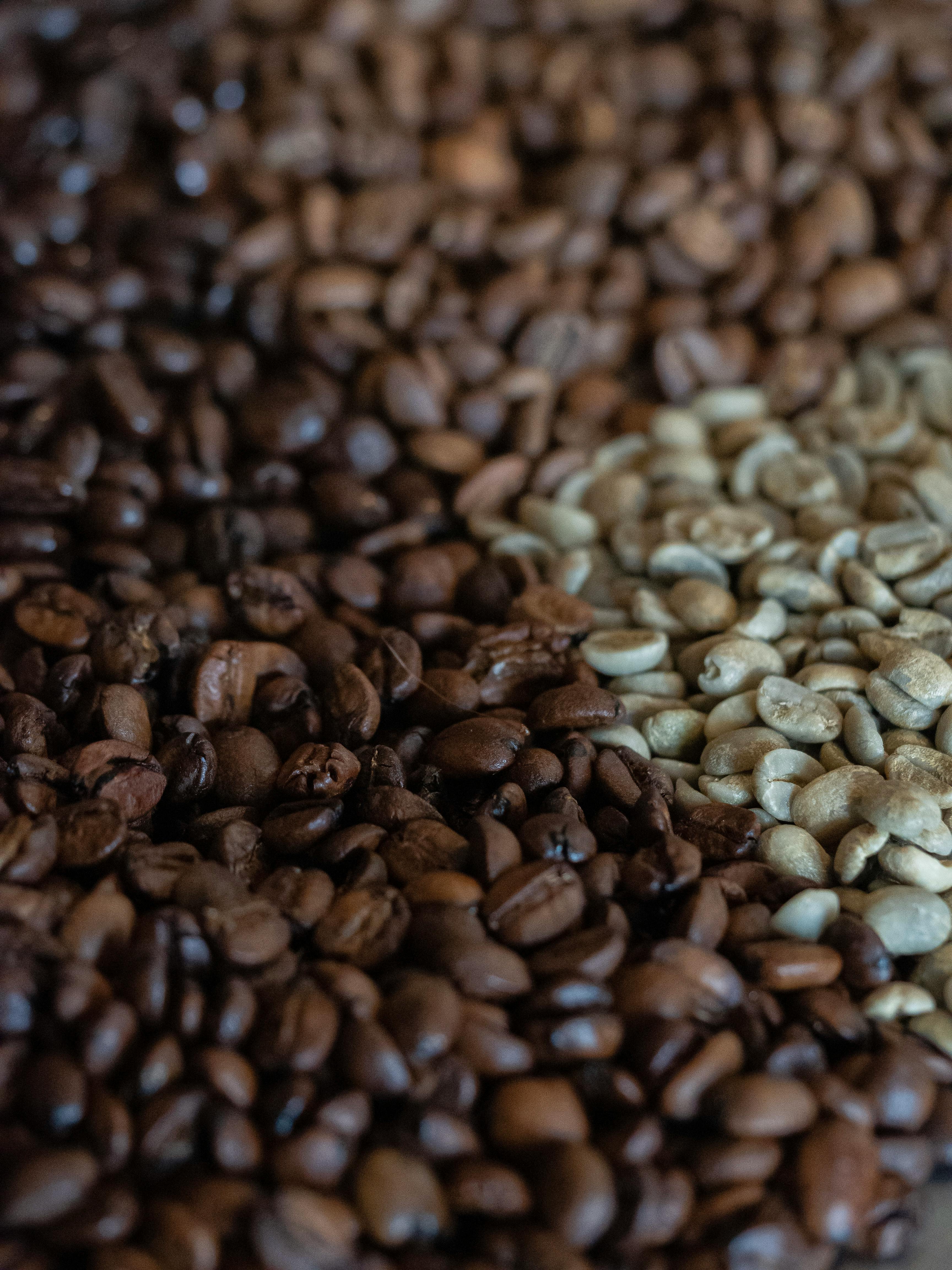 Intricate Coffee Bean Textures · Free Stock Photo