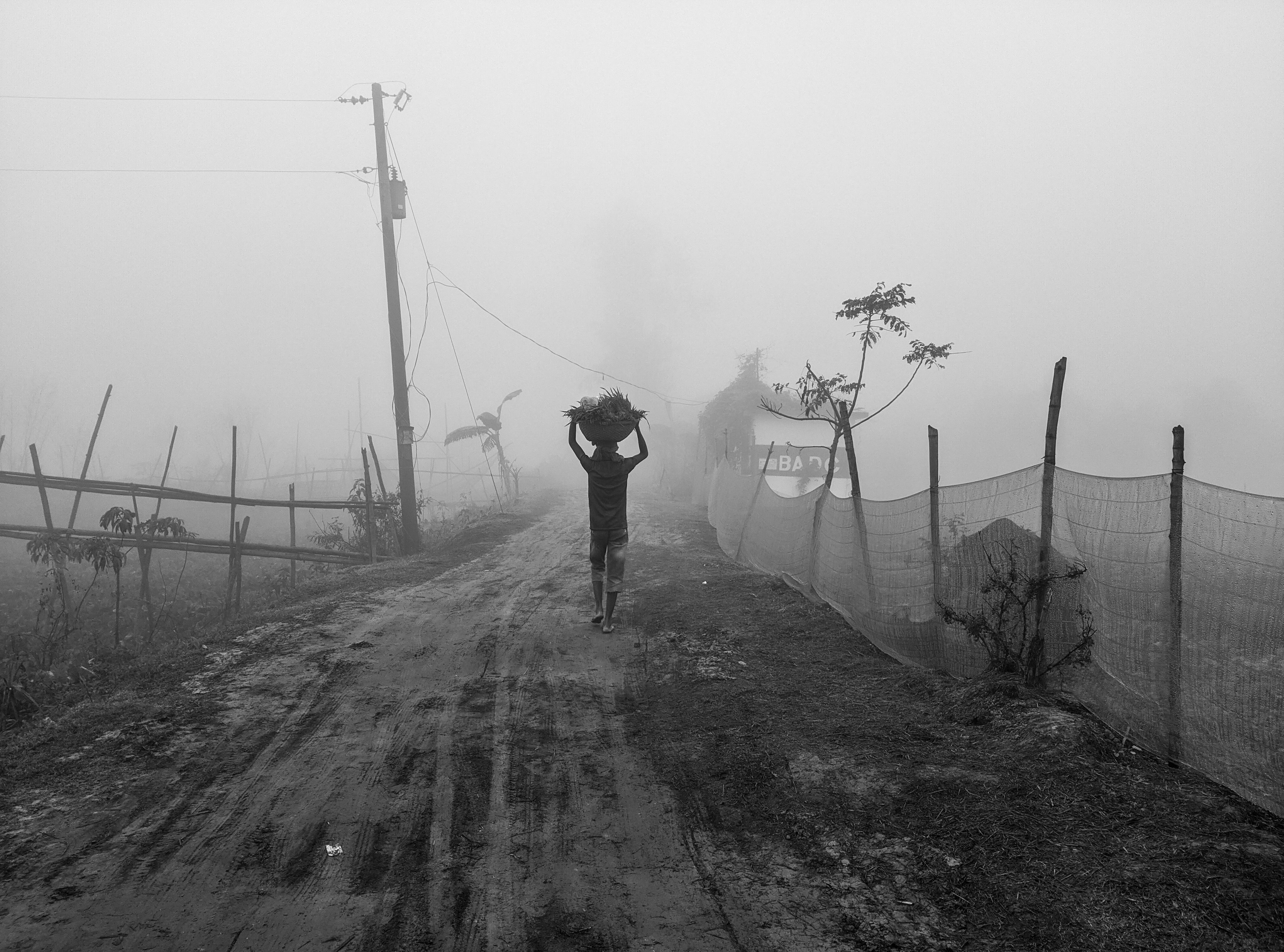 A man on a bicycle rides through the fog · Free Stock Photo