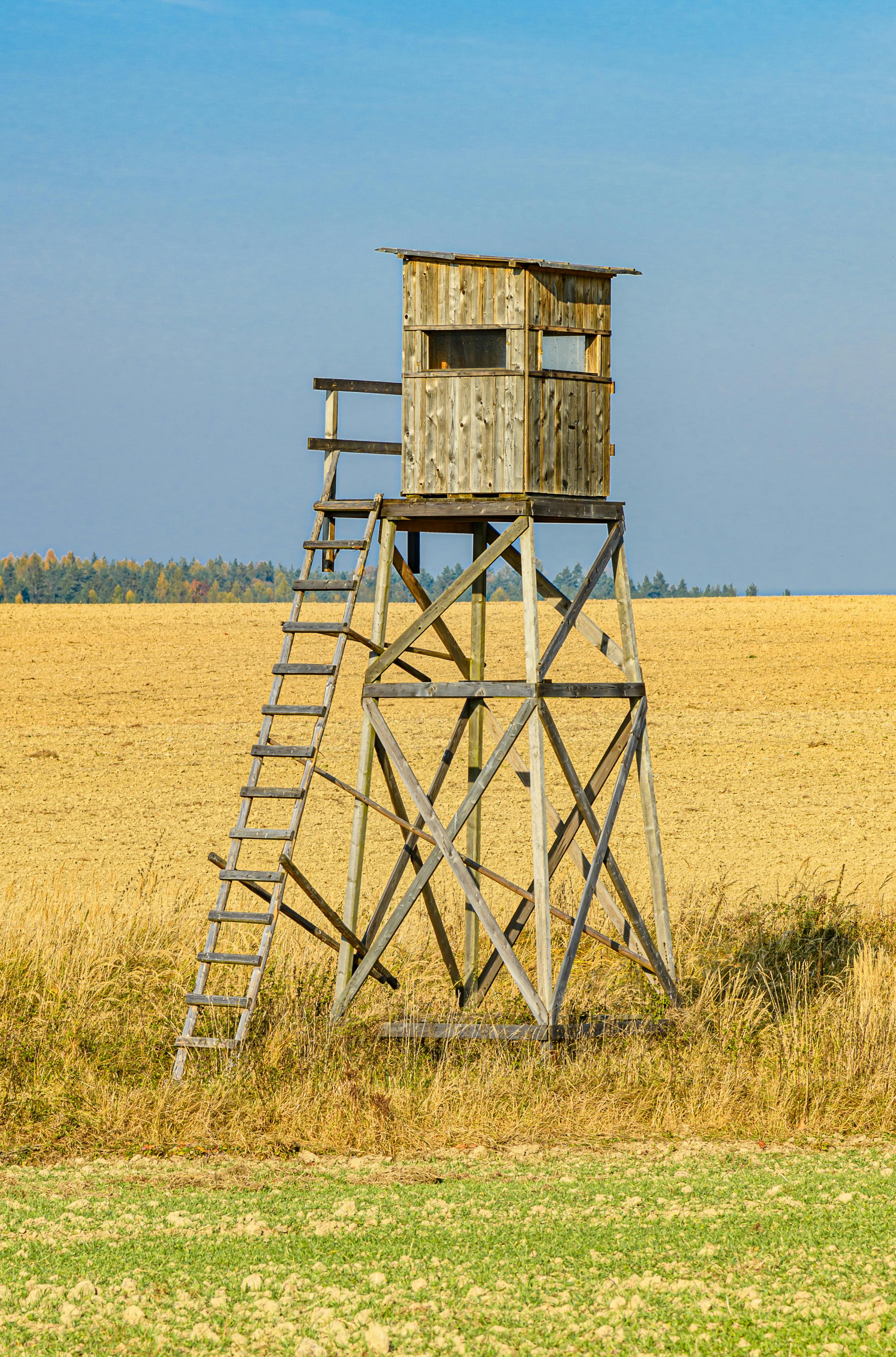 Wooden Tower in Field · Free Stock Photo