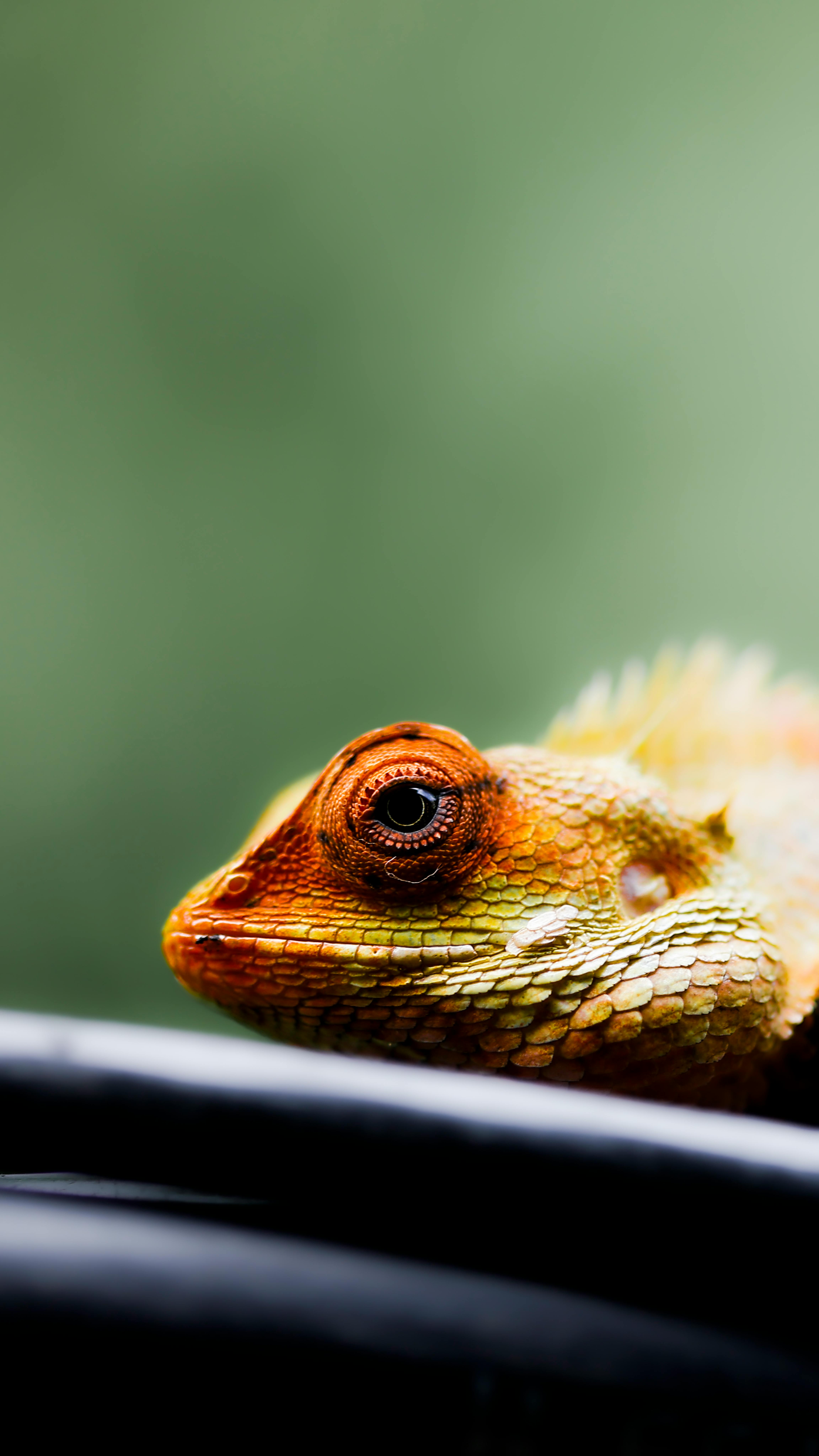 The Eye Of Horace Photos, Download The BEST Free The Eye Of Horace ...