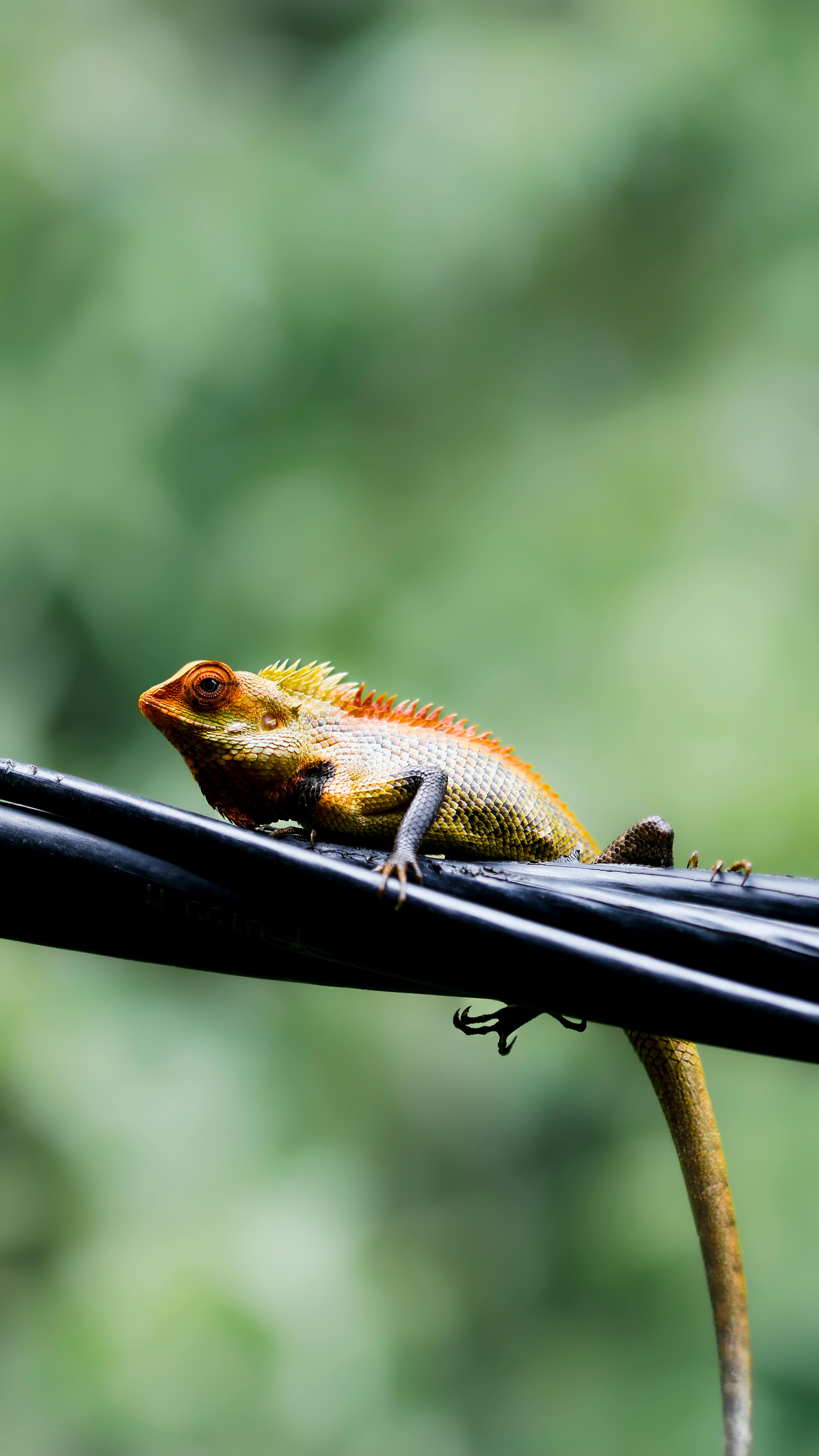 Eye Of Rah Photos, Download The BEST Free Eye Of Rah Stock Photos & HD ...