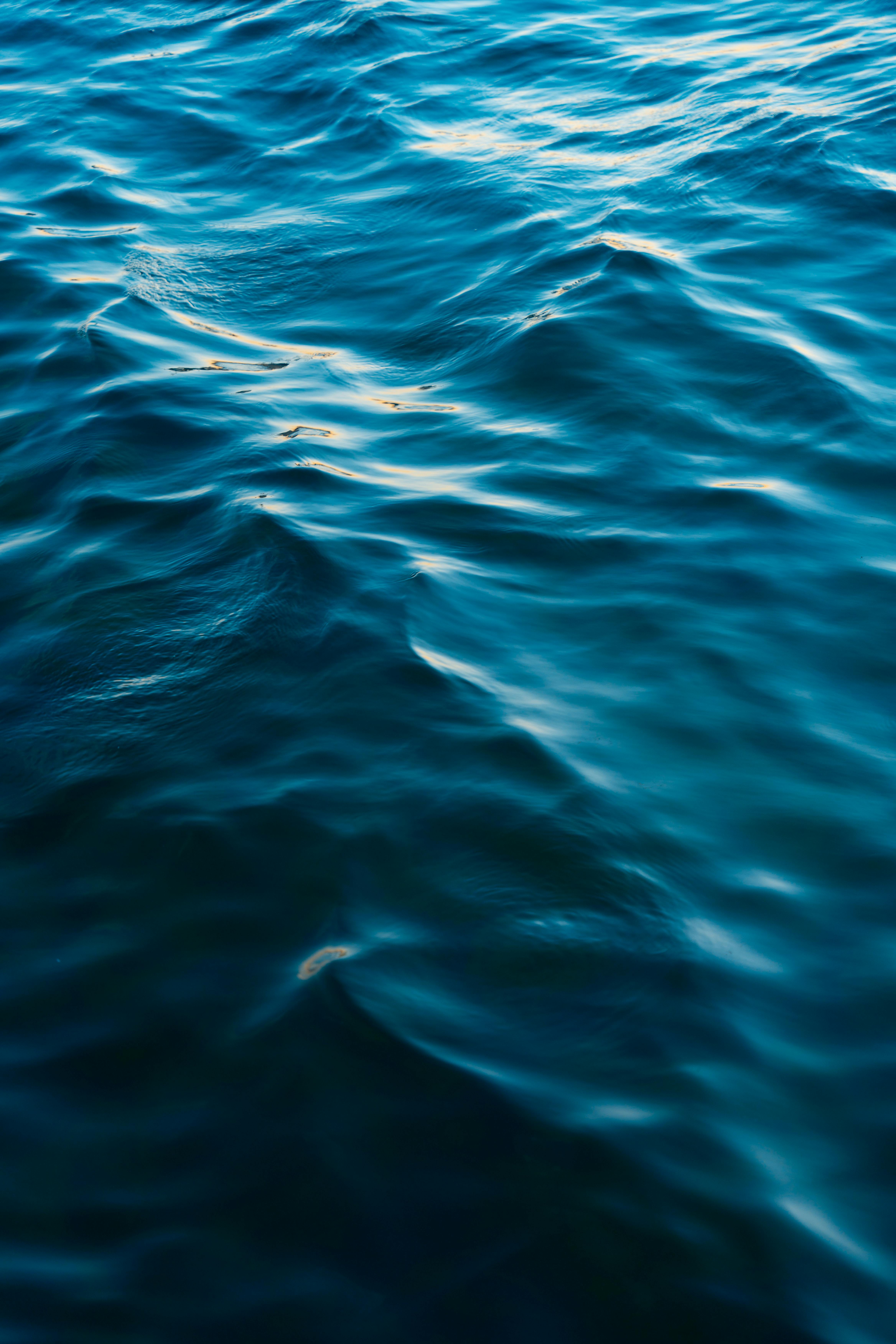 Foto de stock gratuita sobre acuático, agua, al aire libre, arrugado ...