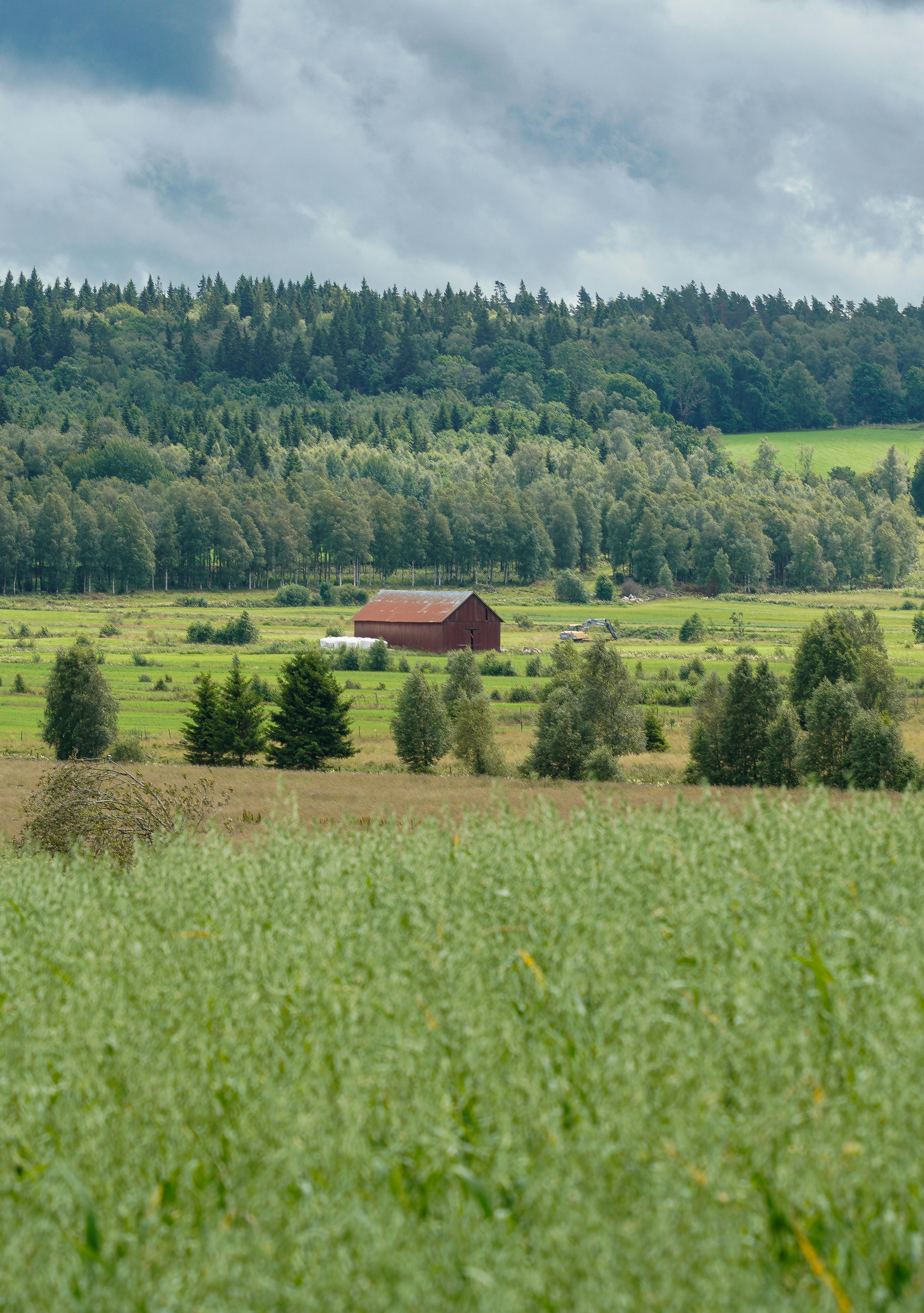 Two Brown Wooden Cabins in Green Grass Field · Free Stock Photo