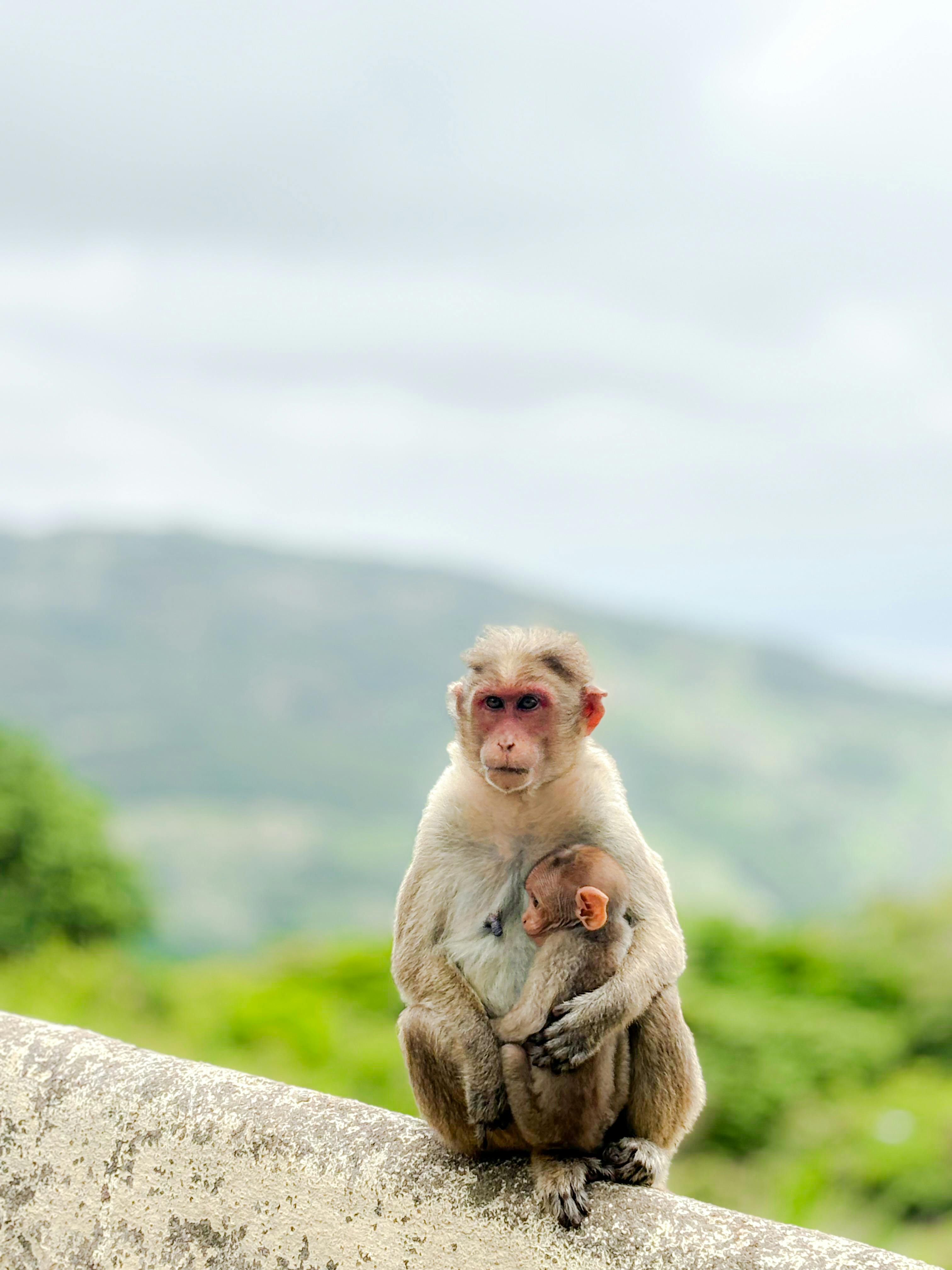 Sayooj - Photographie