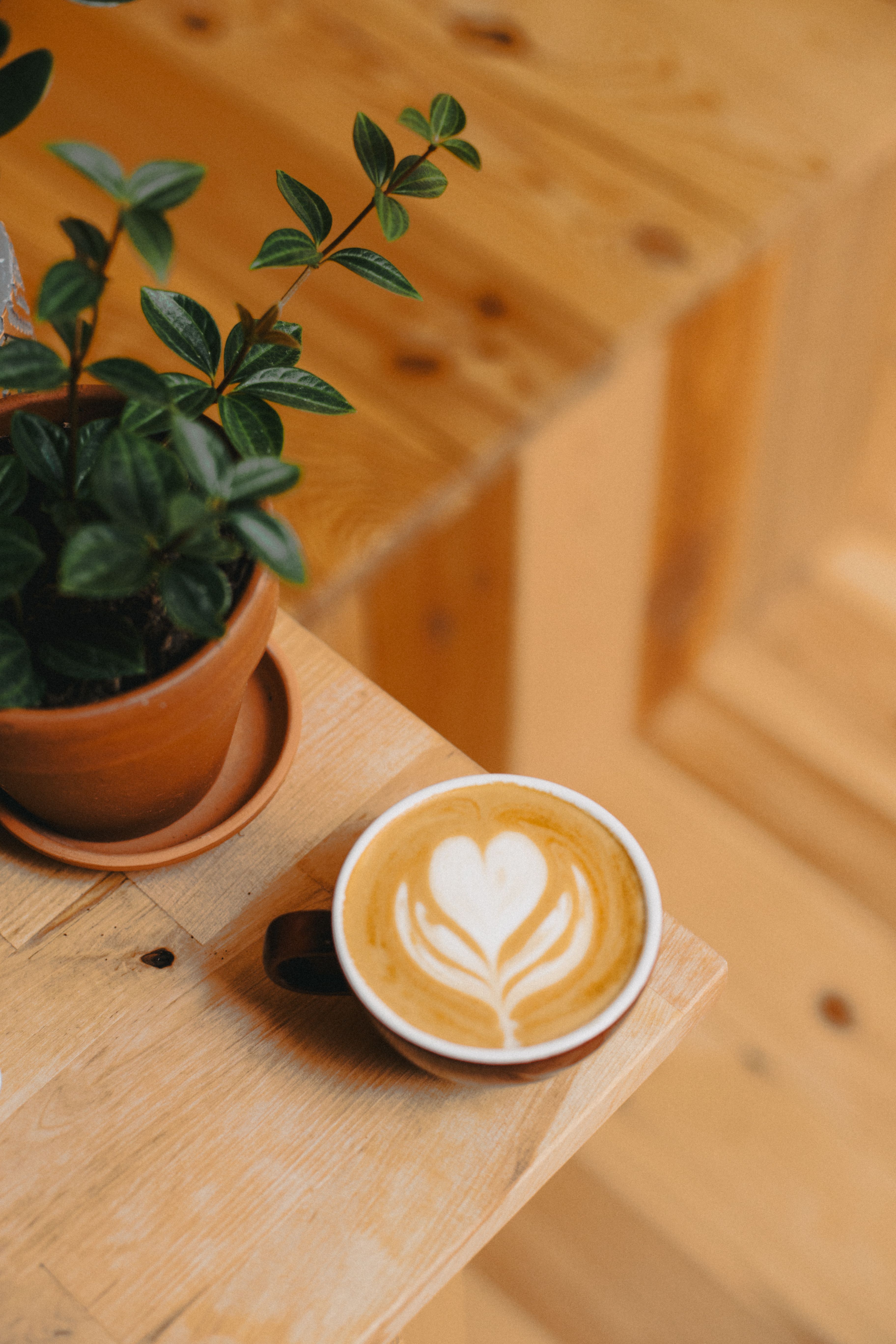 Close-up of a Cup of Coffee with Latte Art · Free Stock Photo