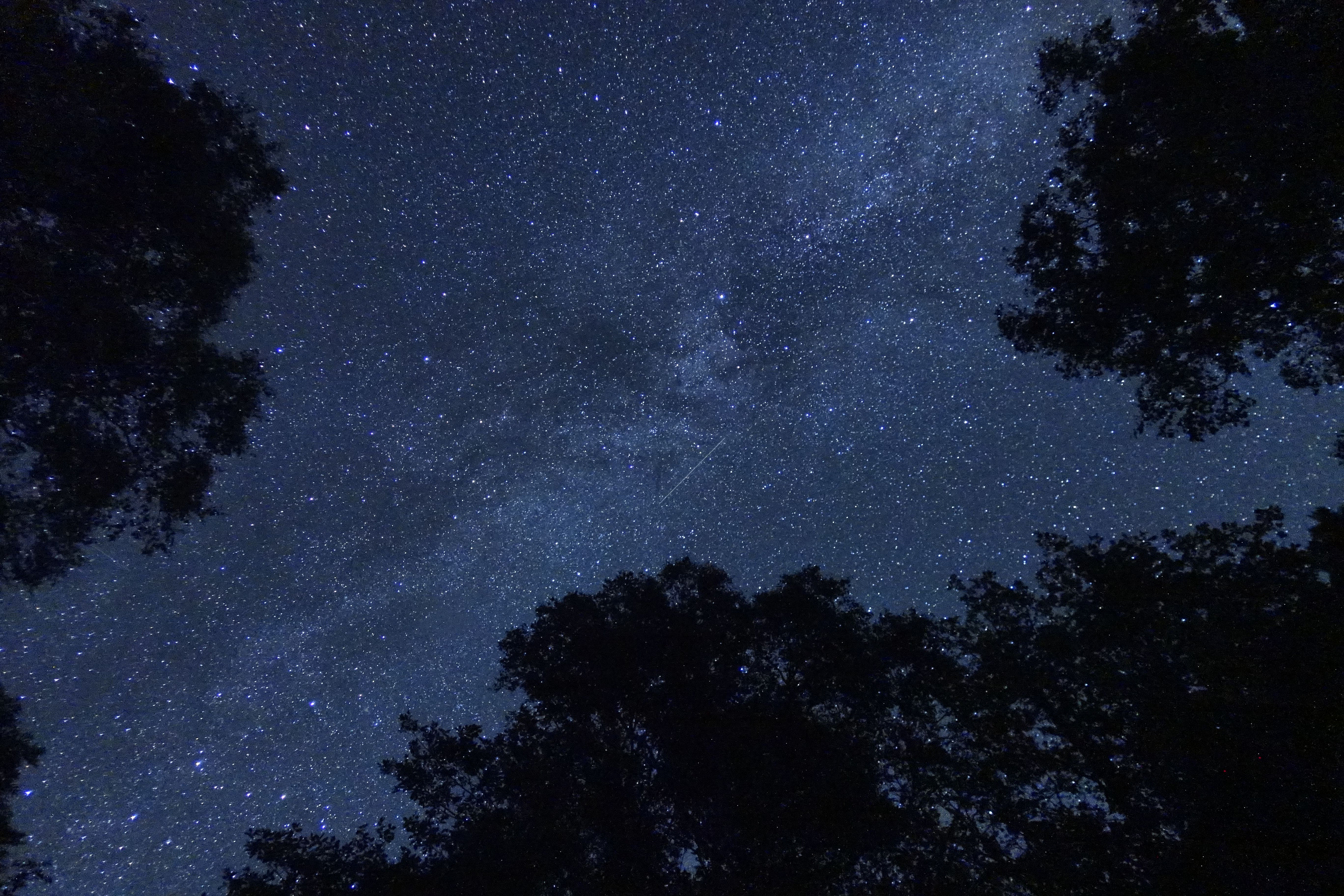 Low-angle Photography of Trees Under Stars at Night · Free Stock Photo