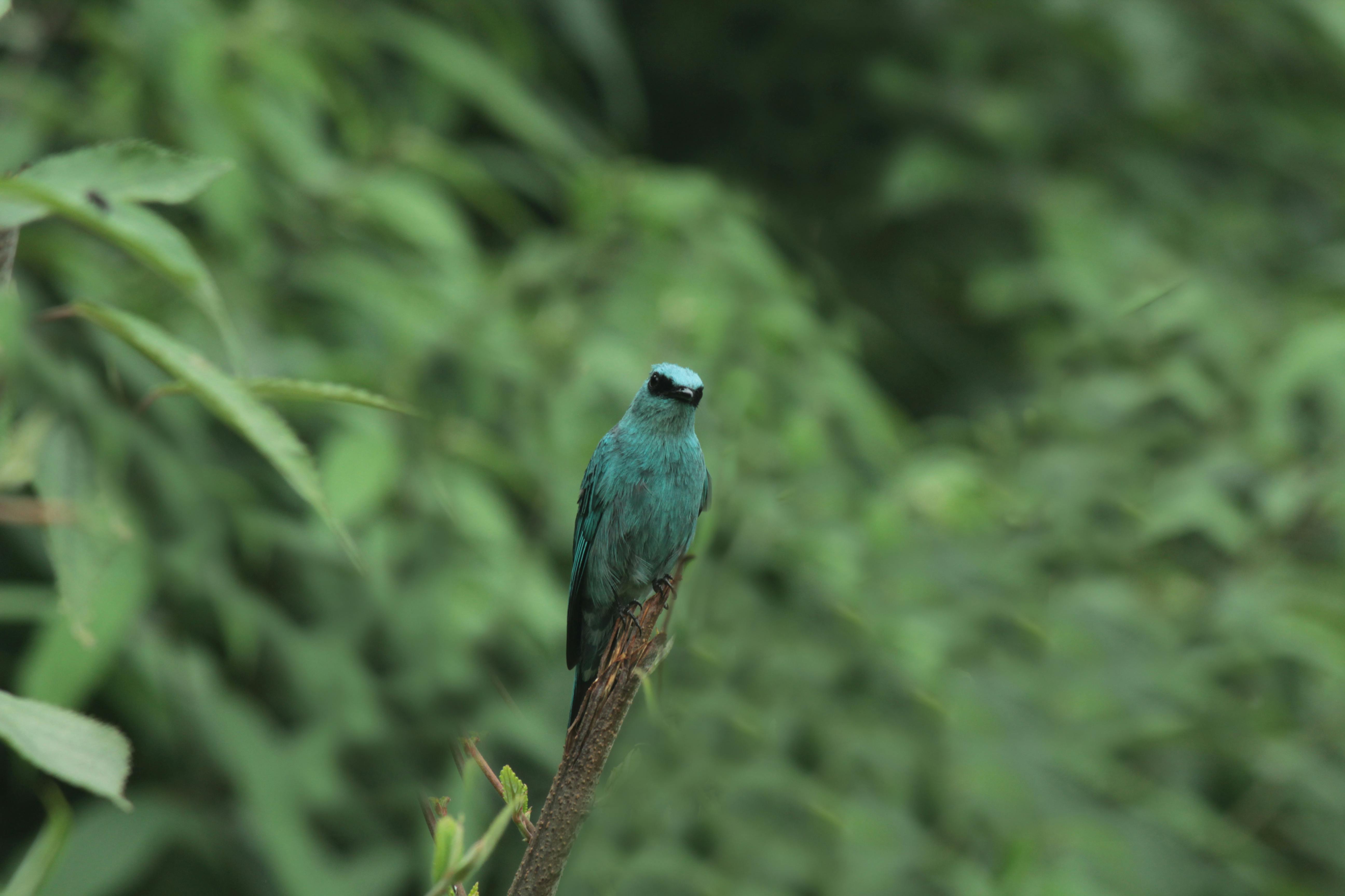 Monsoon Photos, Download The BEST Free Monsoon Stock Photos & HD Images