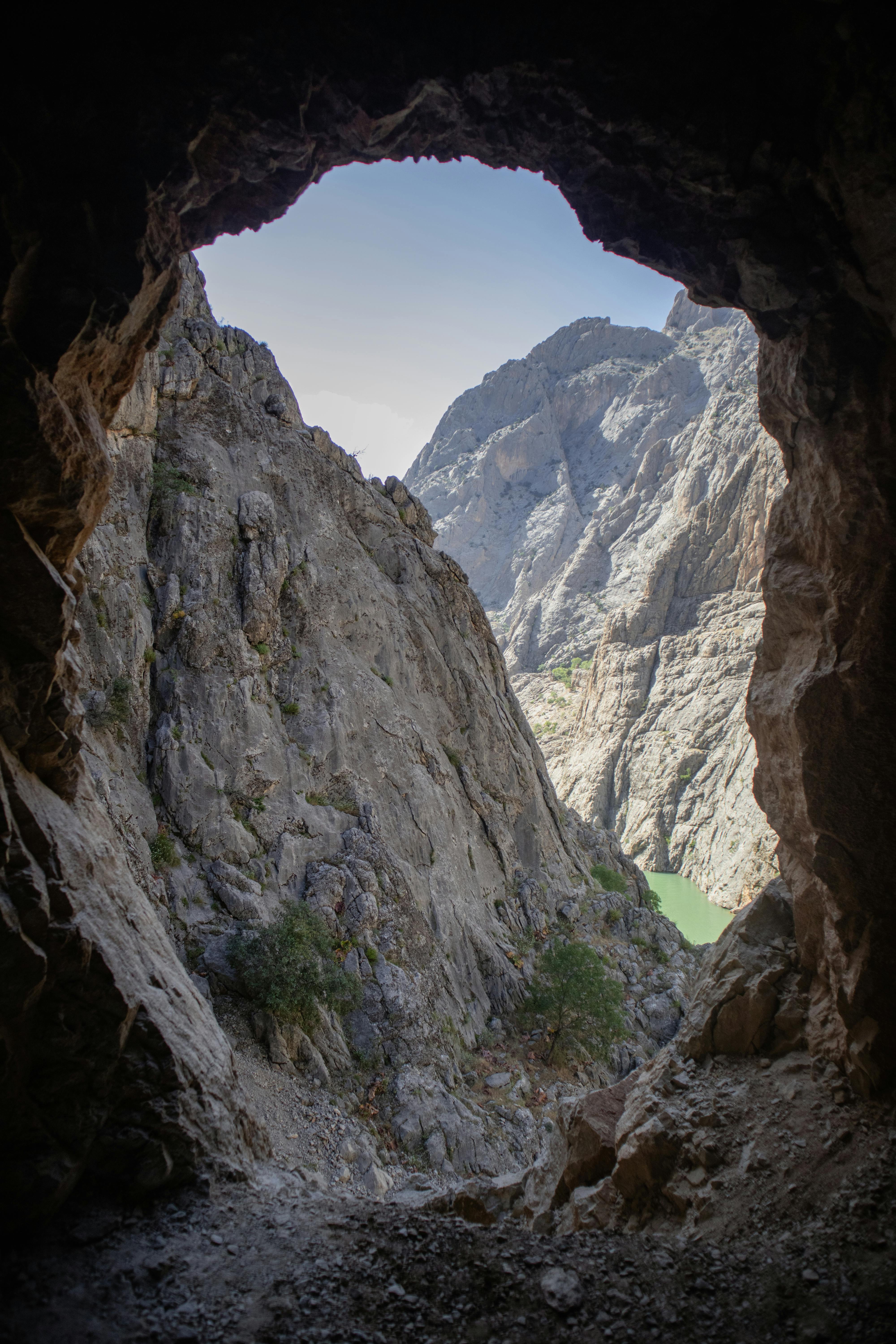 Rudist Photos, Download The BEST Free Rudist Stock Photos & HD Images