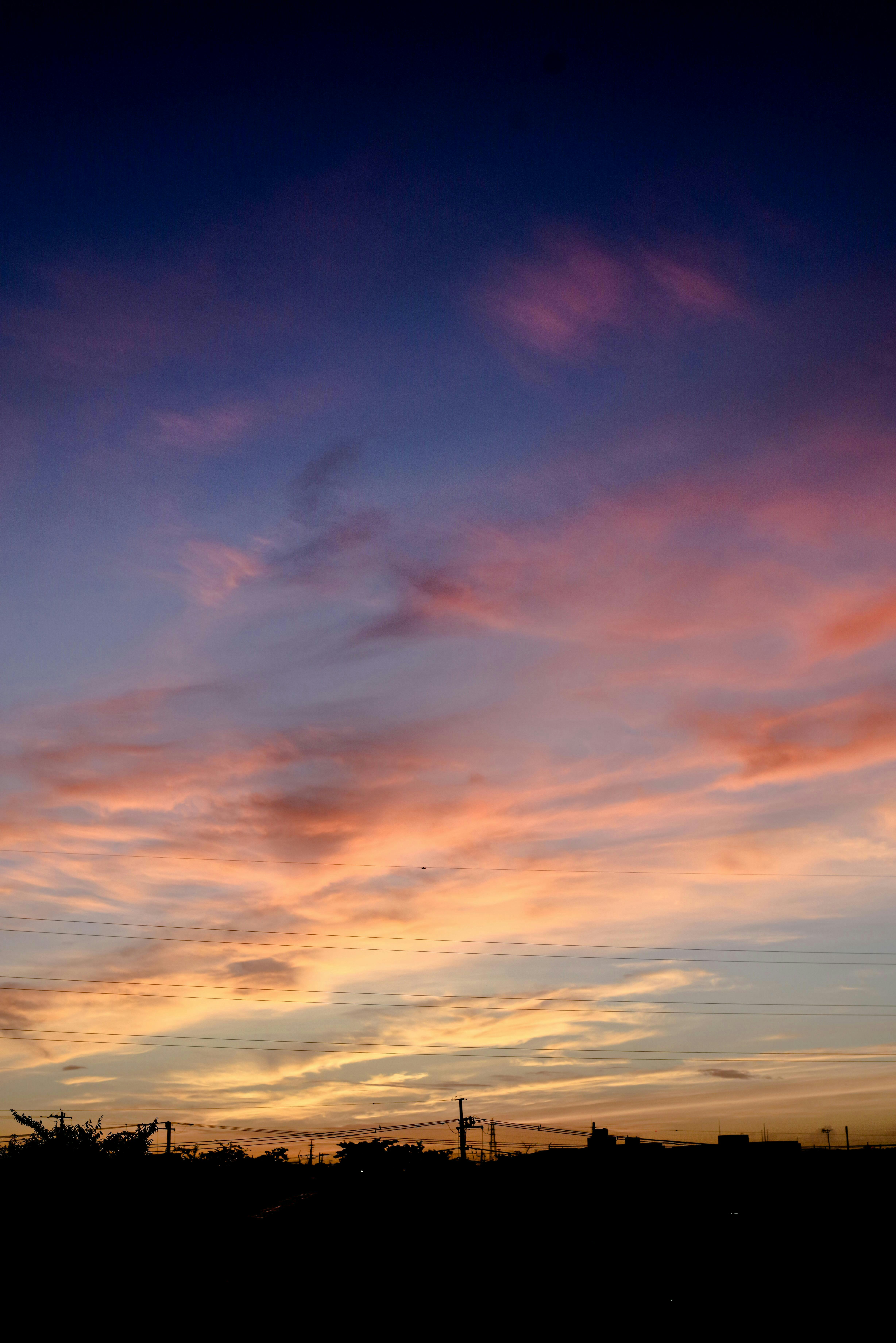 1+ Million Royalty Free Images · Pexels