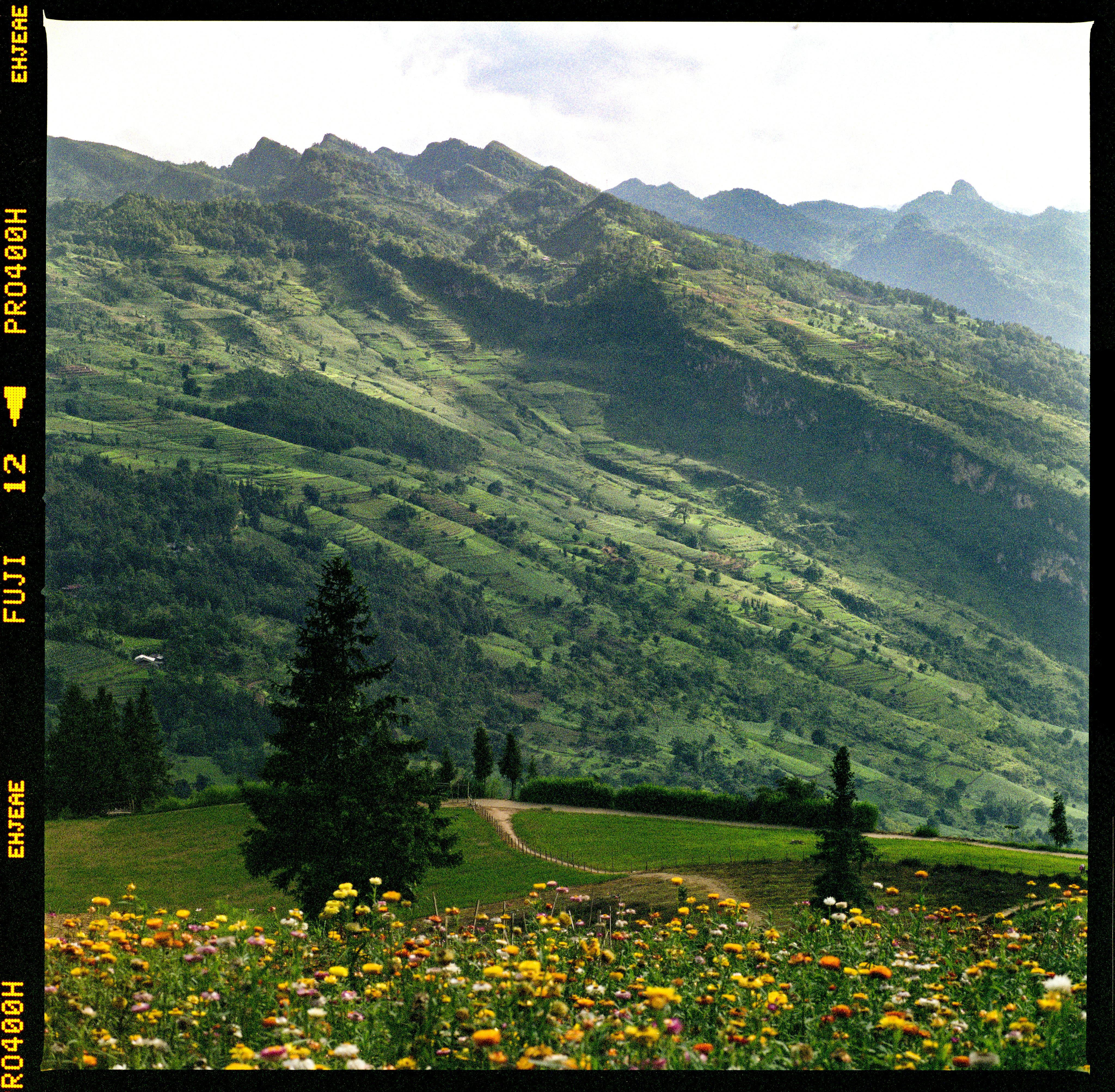 Armpit Rolling Photos, Download The BEST Free Armpit Rolling Stock ...