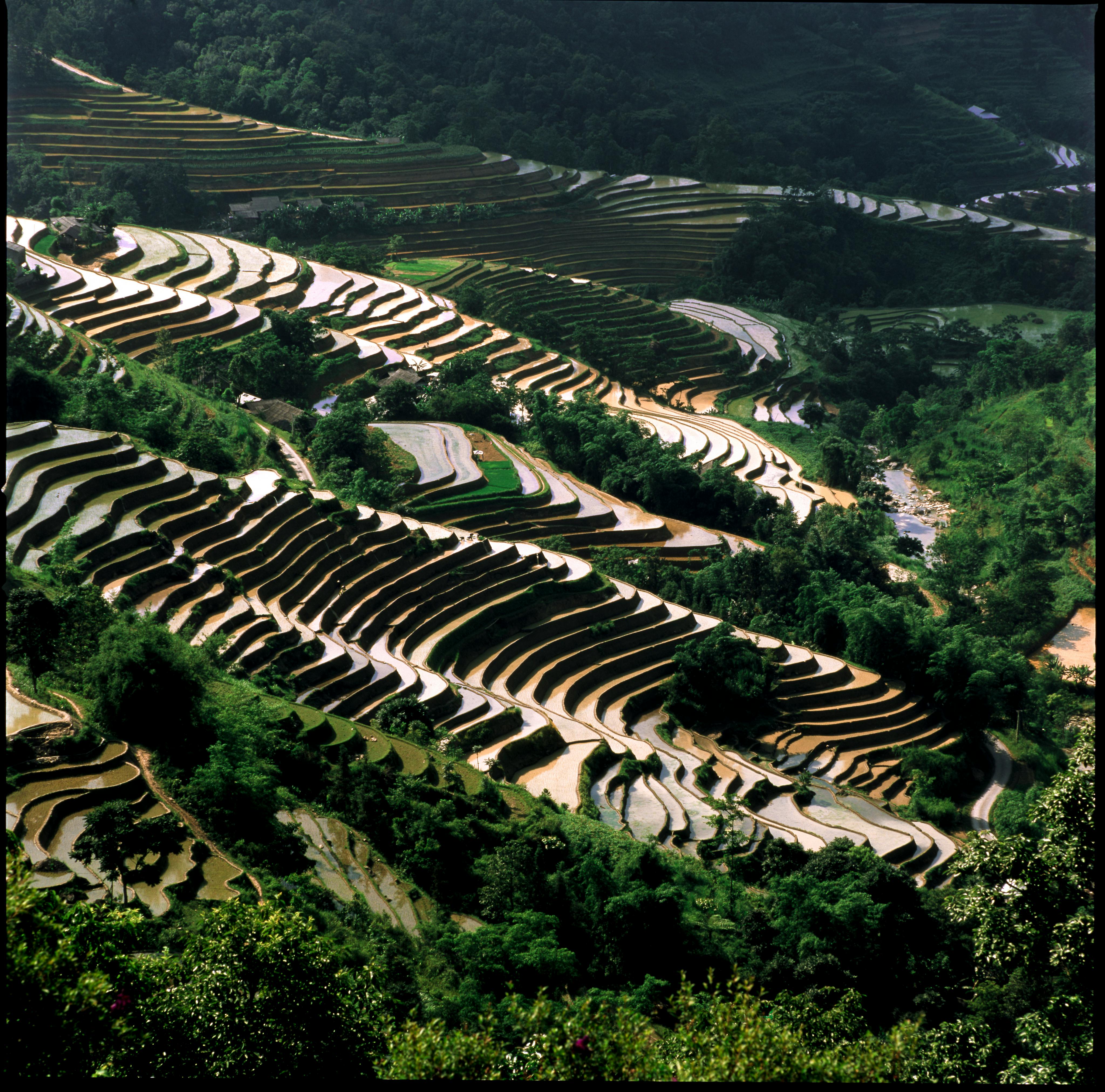 Terraced Fields in Countryside · Free Stock Photo