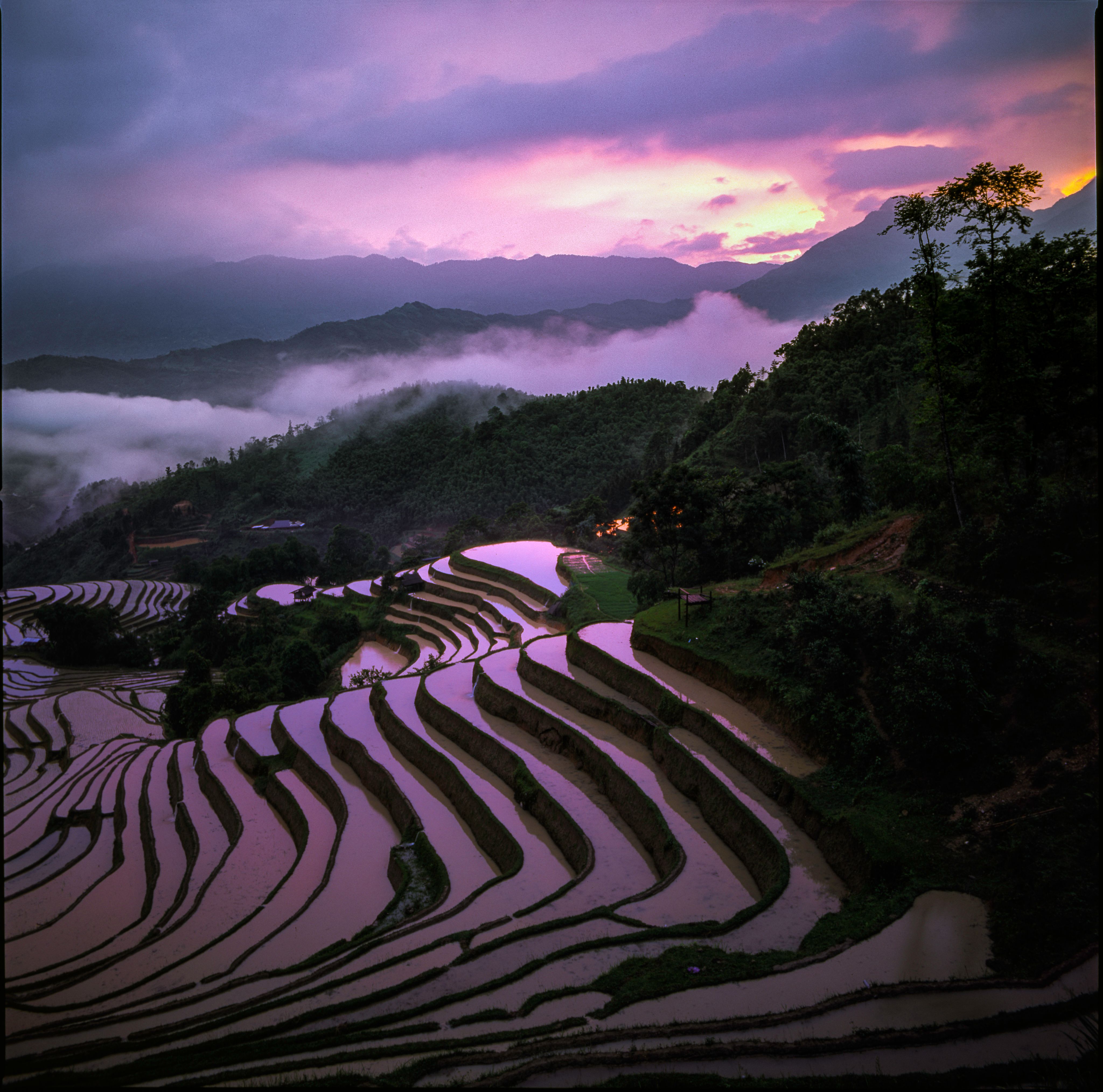 Terrace Fields at Sunset · Free Stock Photo