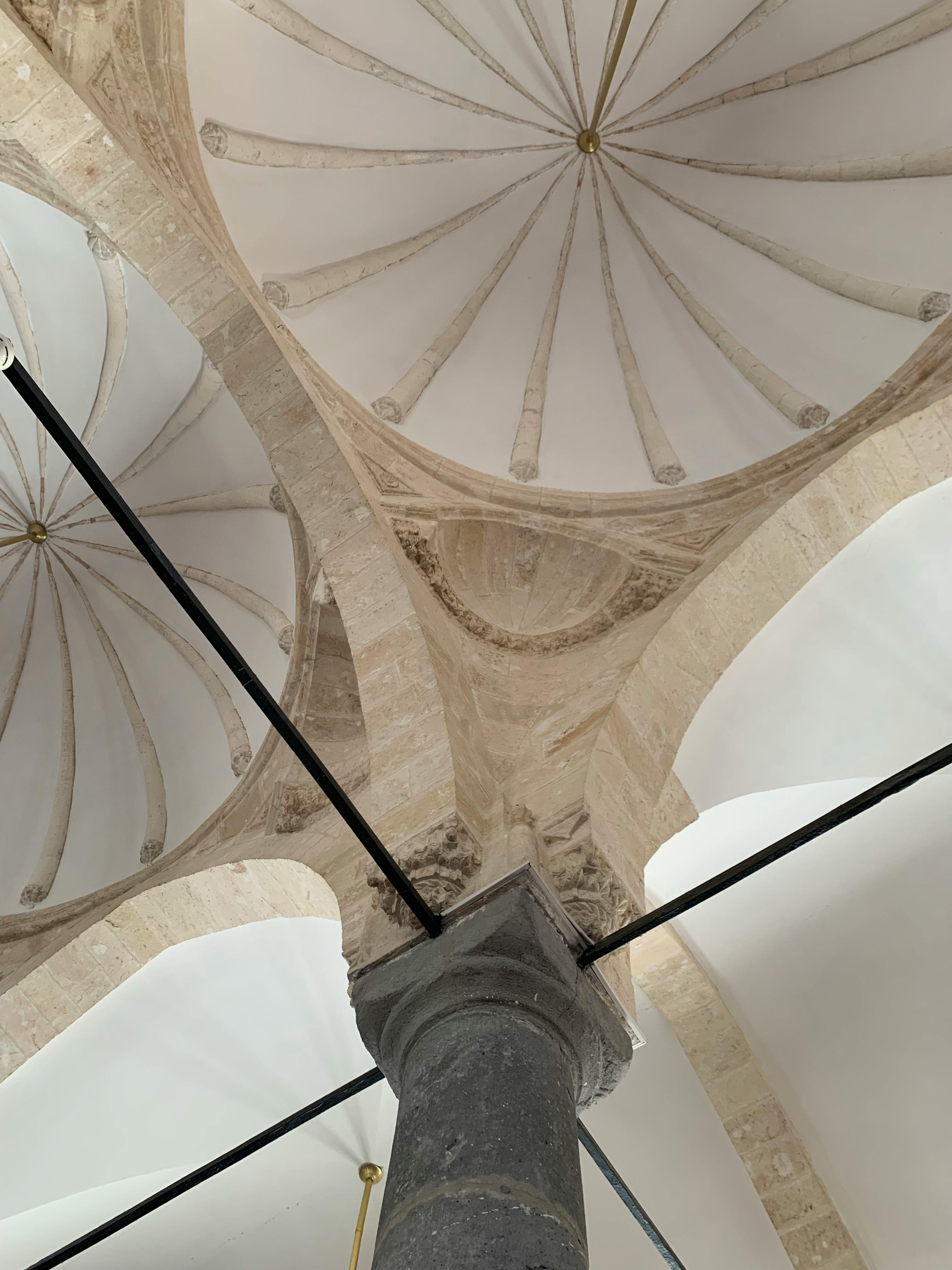 Pvc Ceiling Photos, Download The BEST Free Pvc Ceiling Stock Photos ...