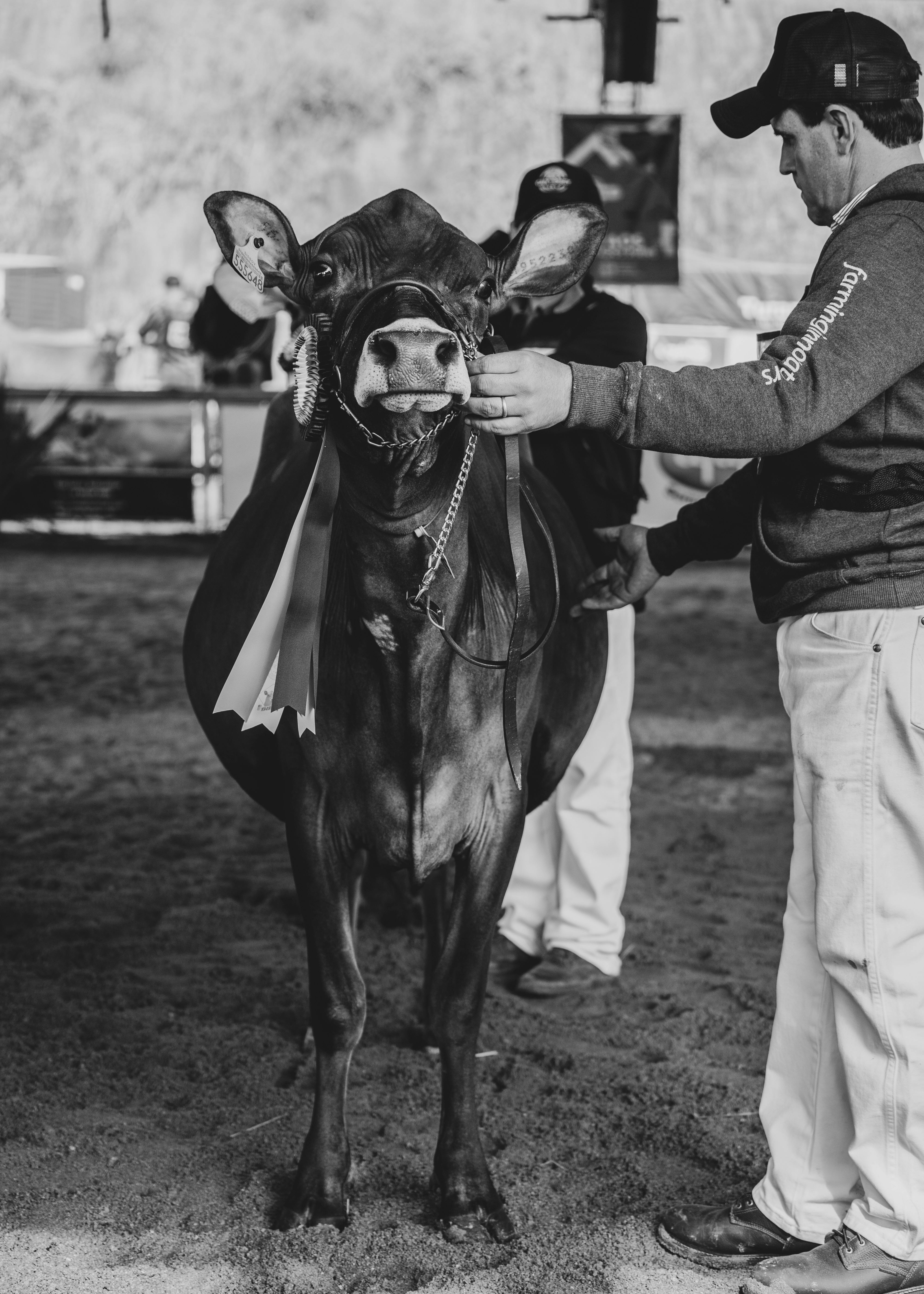 Award Show Sponsorship Photos, Download The BEST Free Award Show ...