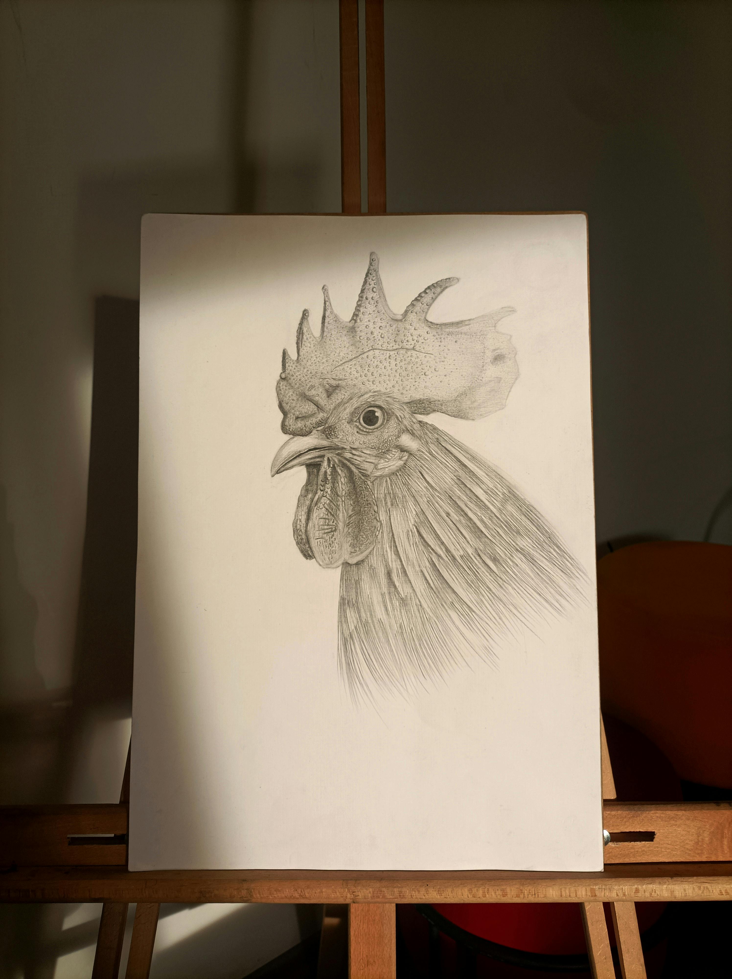 drawing something for future 🕊️ · Free Stock Photo