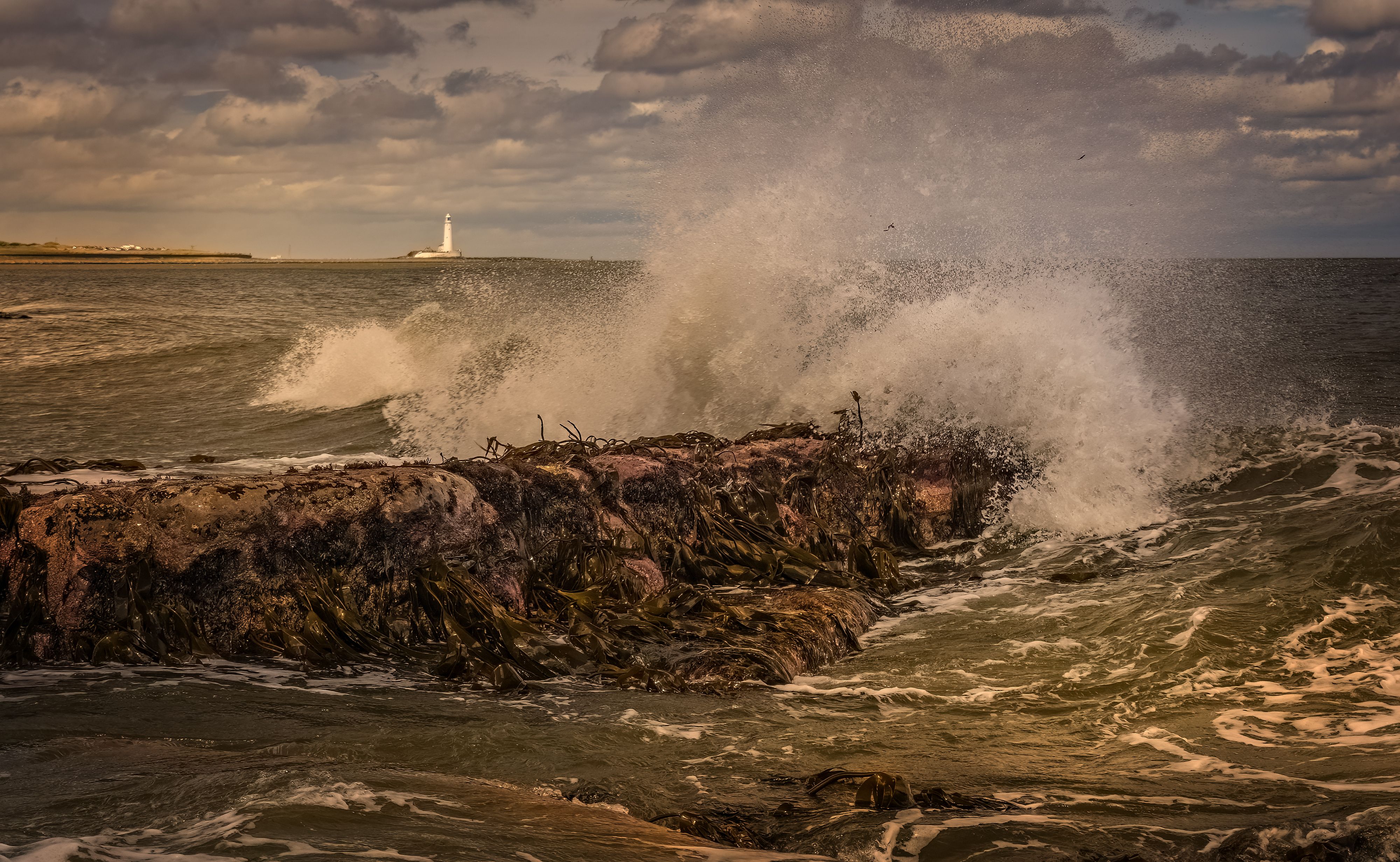 A large wave crashing into the rocks at the shore · Free Stock Photo