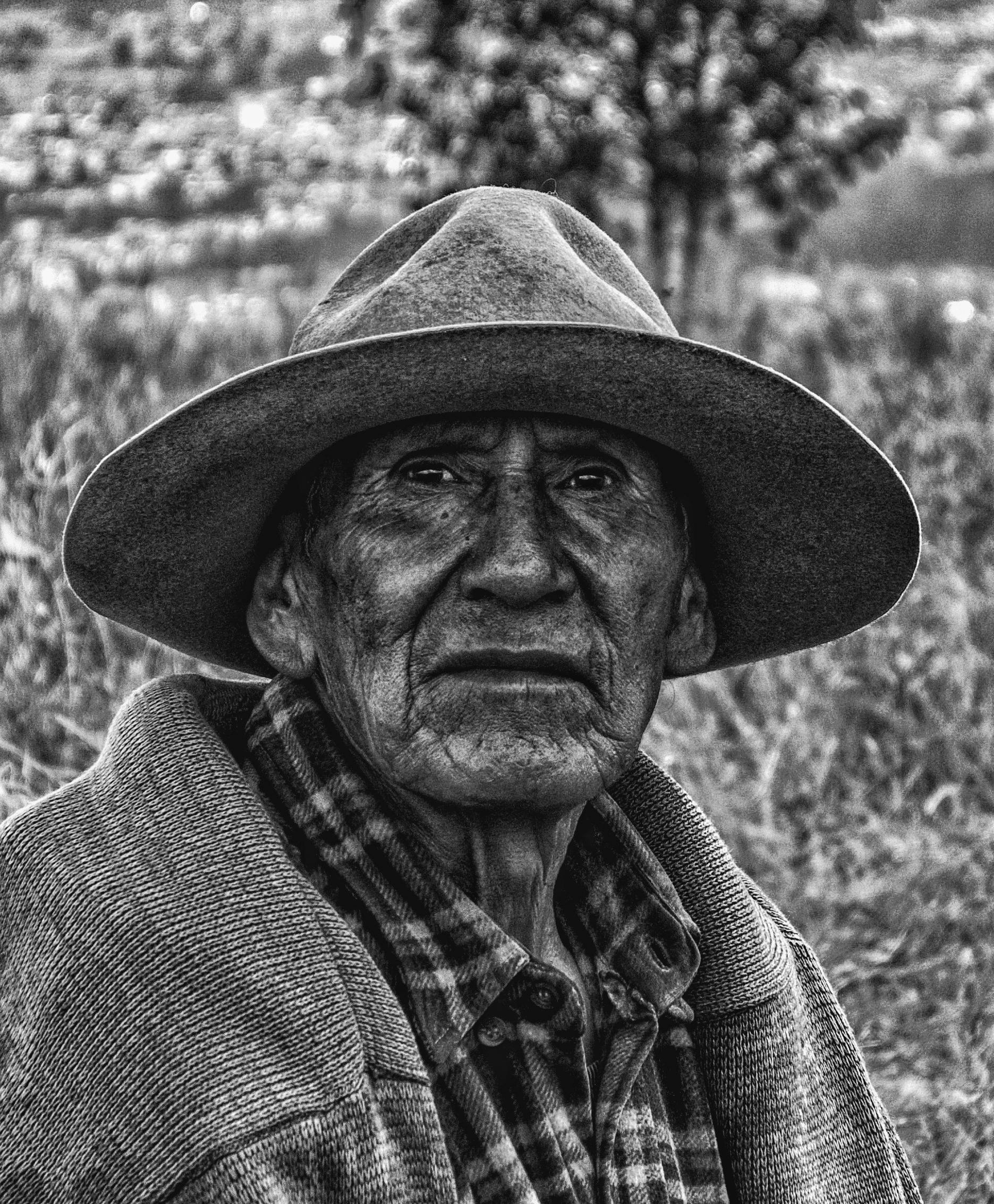 Pastor en los andes peruanos · Free Stock Photo
