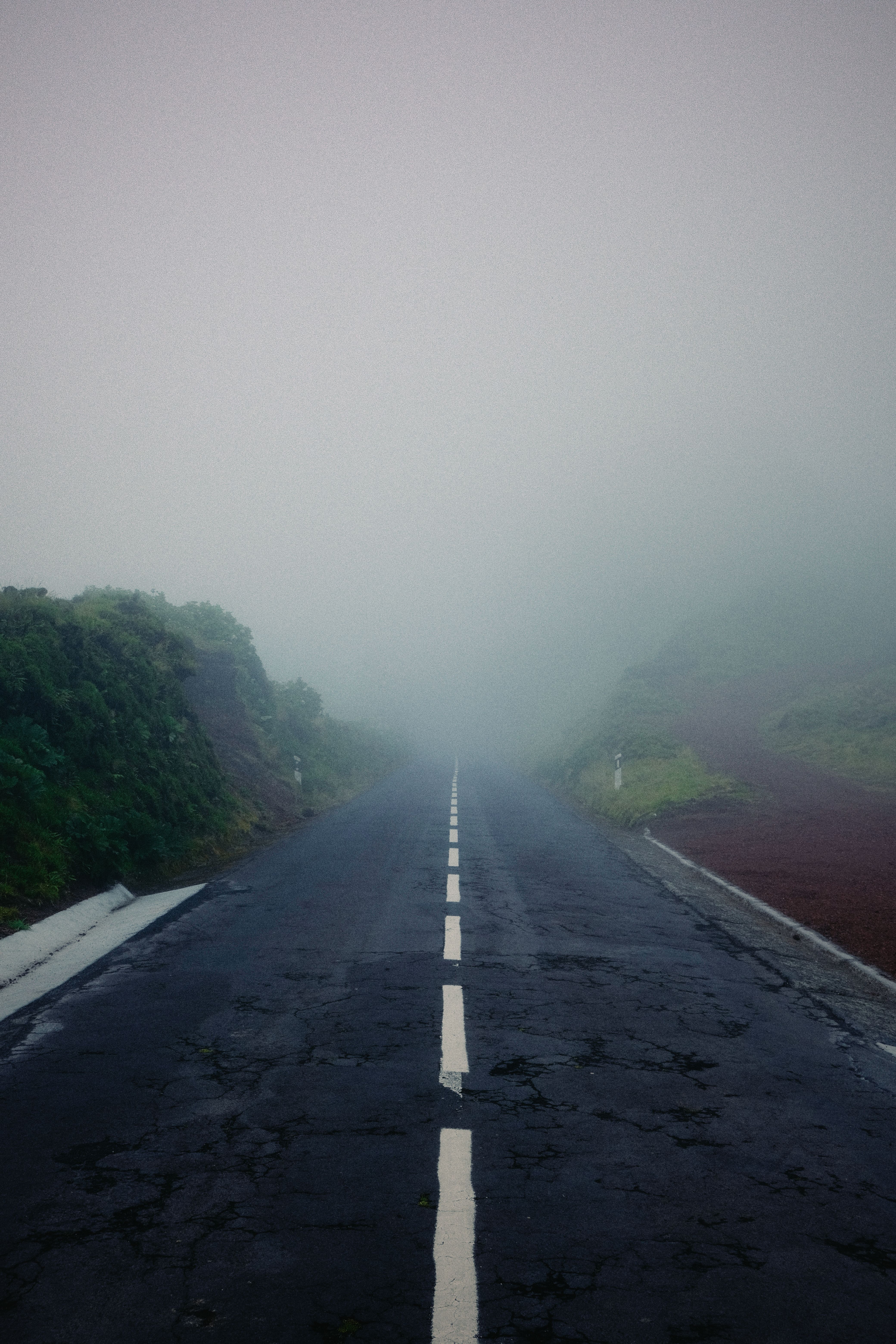 A road in the fog with a white line · Free Stock Photo