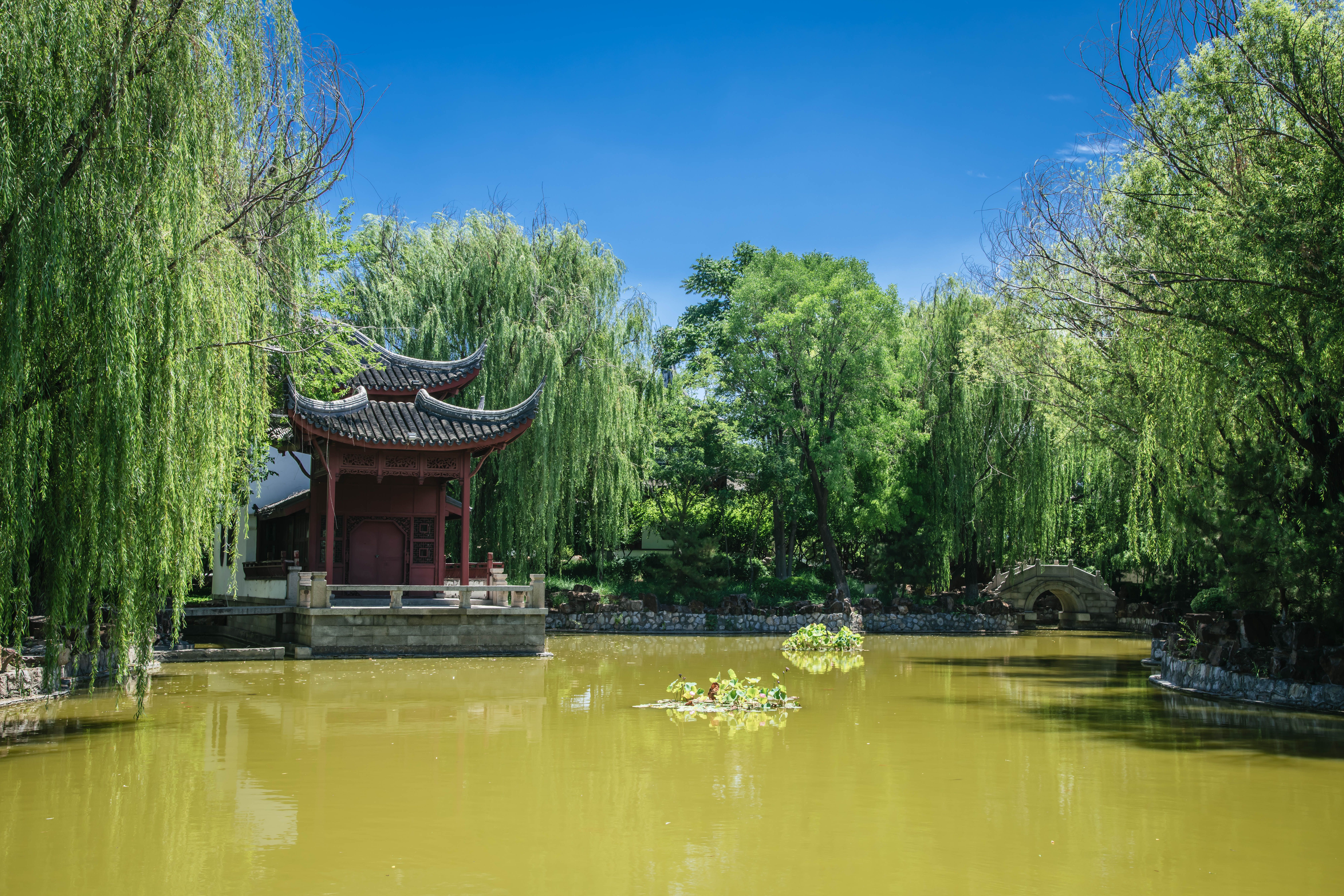A pond with a pagoda in the middle surrounded by trees · Free Stock Photo