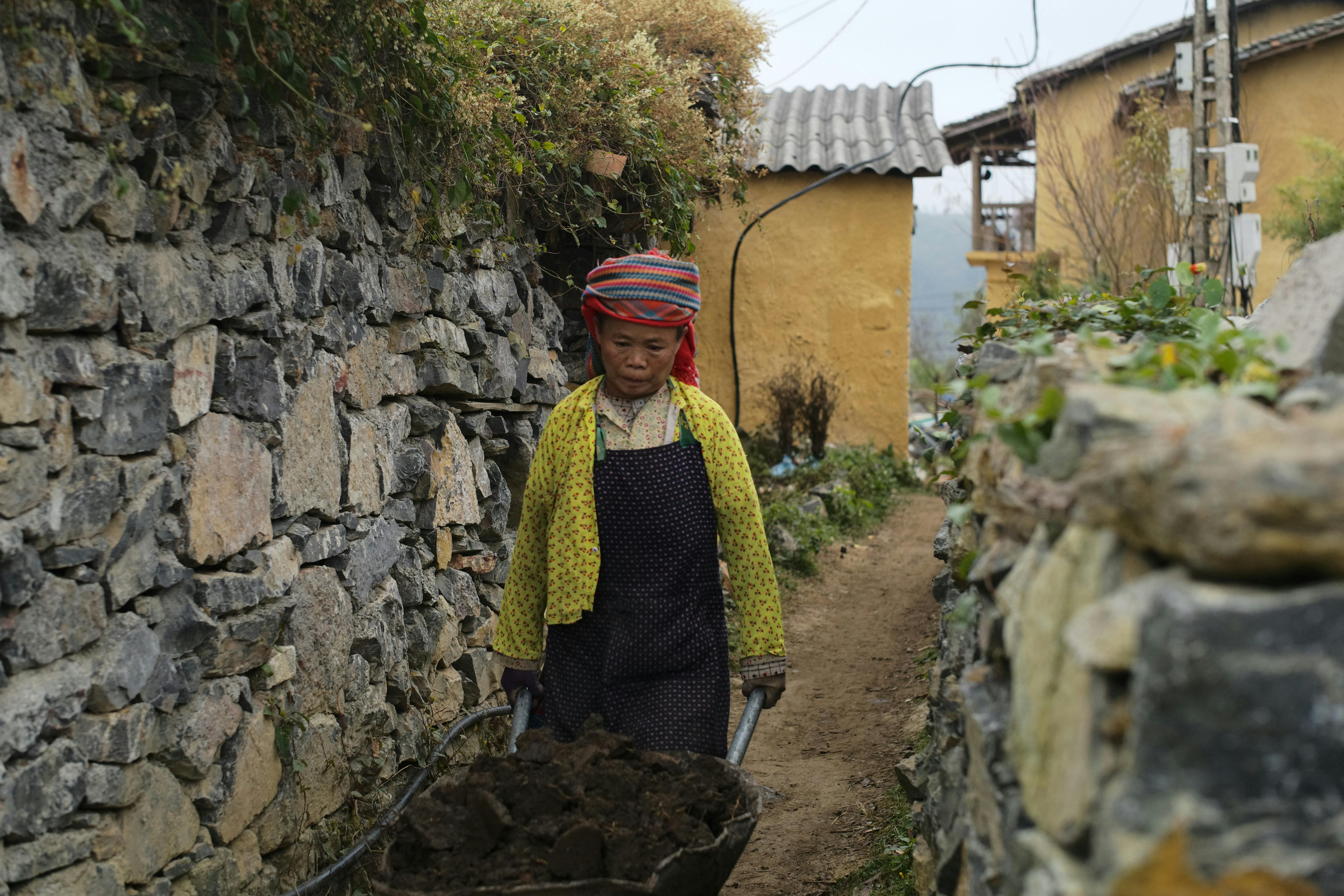 Woman Towing Wheelbarrow in Village · Free Stock Photo