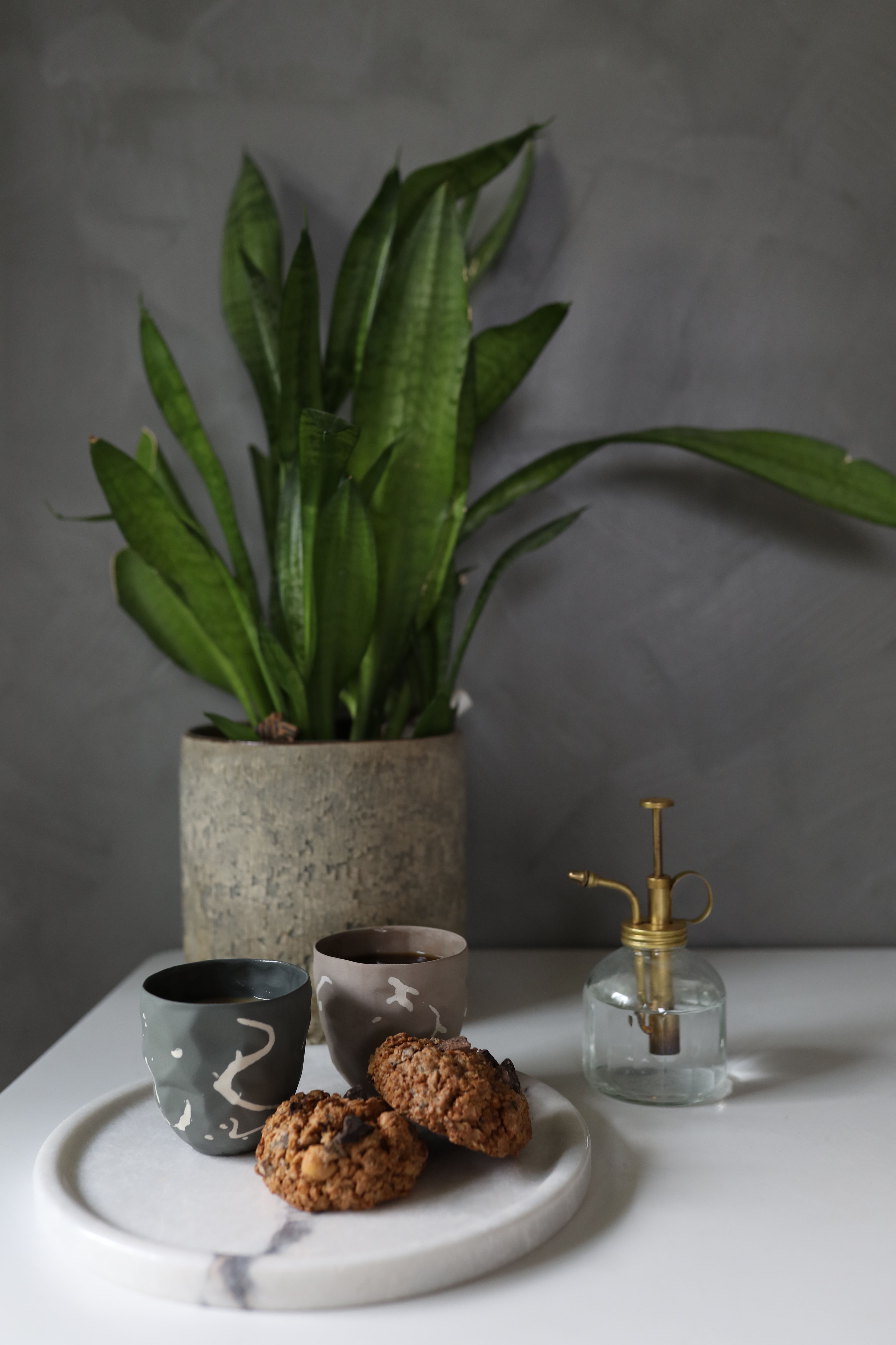 Plants For Home Photos, Download The BEST Free Plants For Home Stock ...