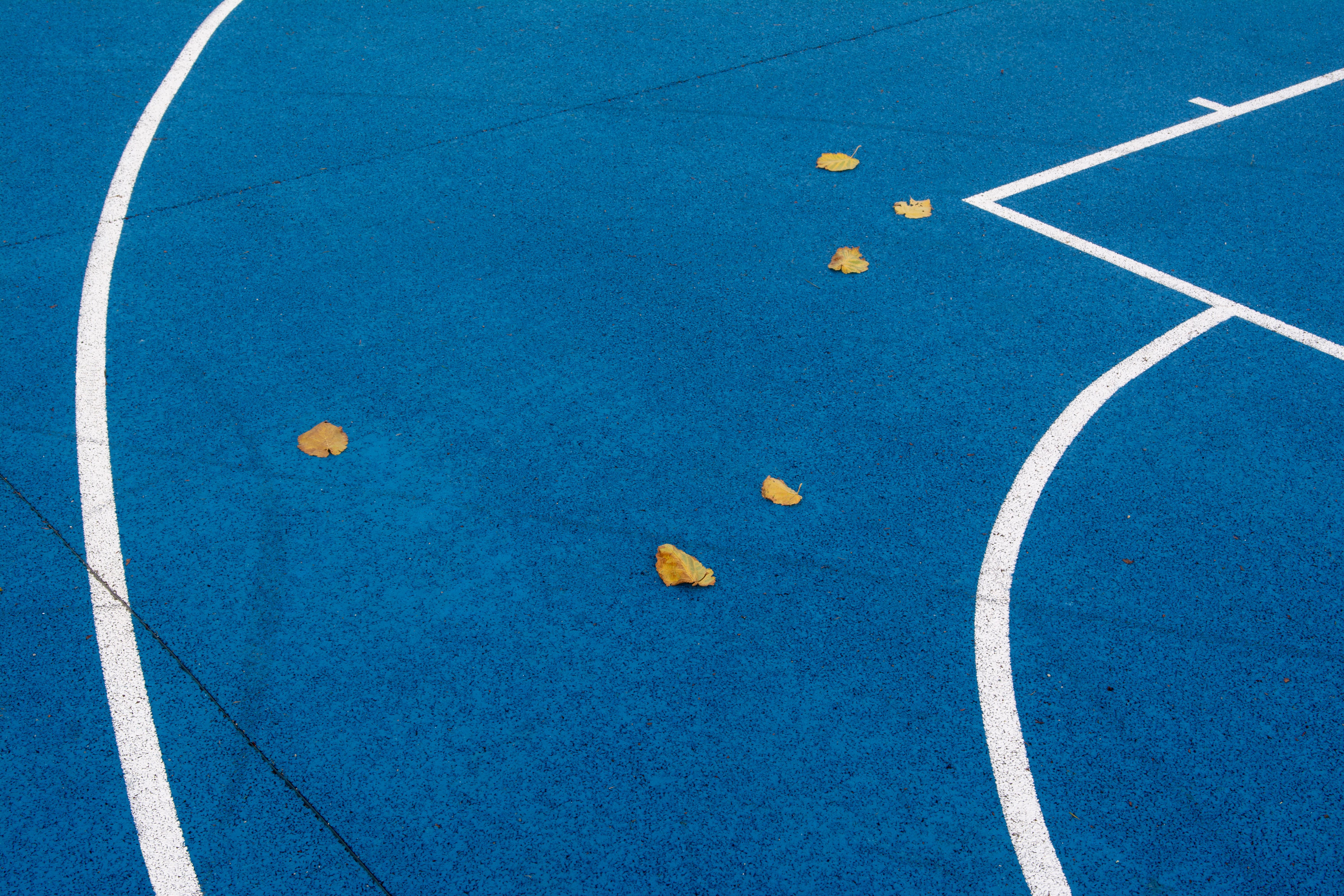 Leaves on Basketball Court · Free Stock Photo