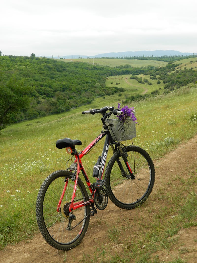 Dirt Path Photos, Download The BEST Free Dirt Path Stock Photos & HD Images